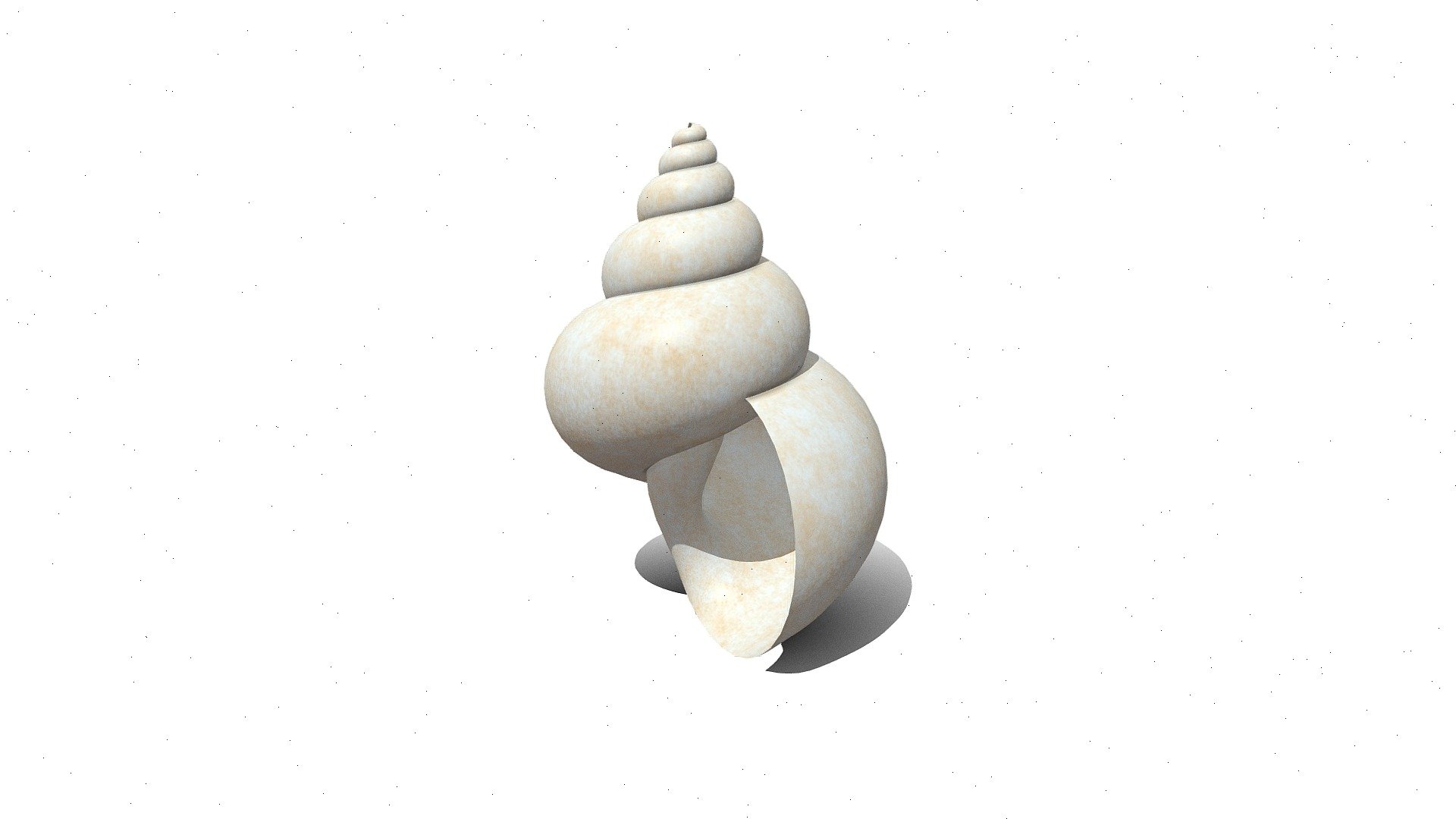 shell - Buy Royalty Free 3D model by Raj prajapat (@rajprajapat ...