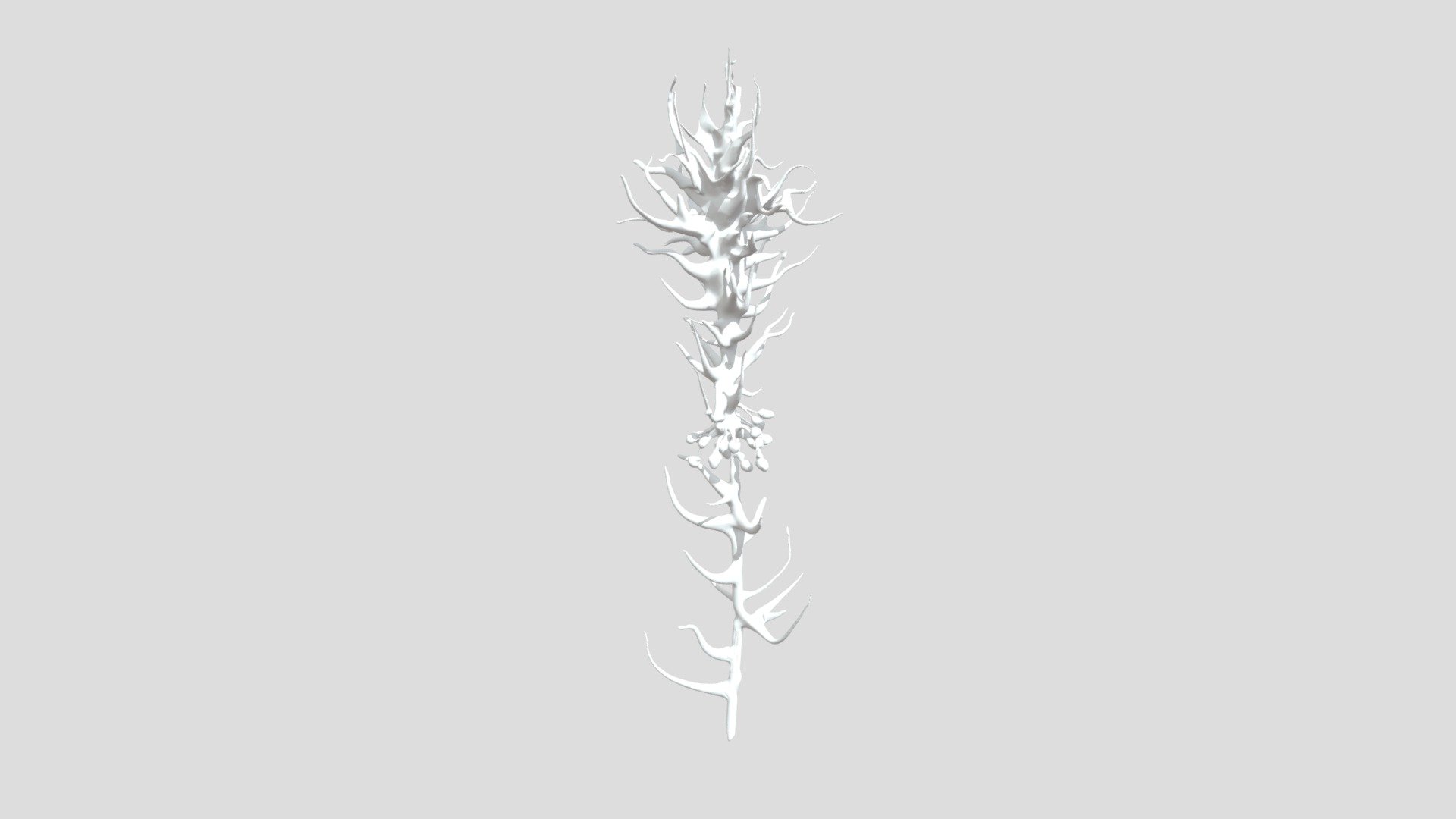 Kelp - 3D model by Arilec_15 [533ecc8] - Sketchfab