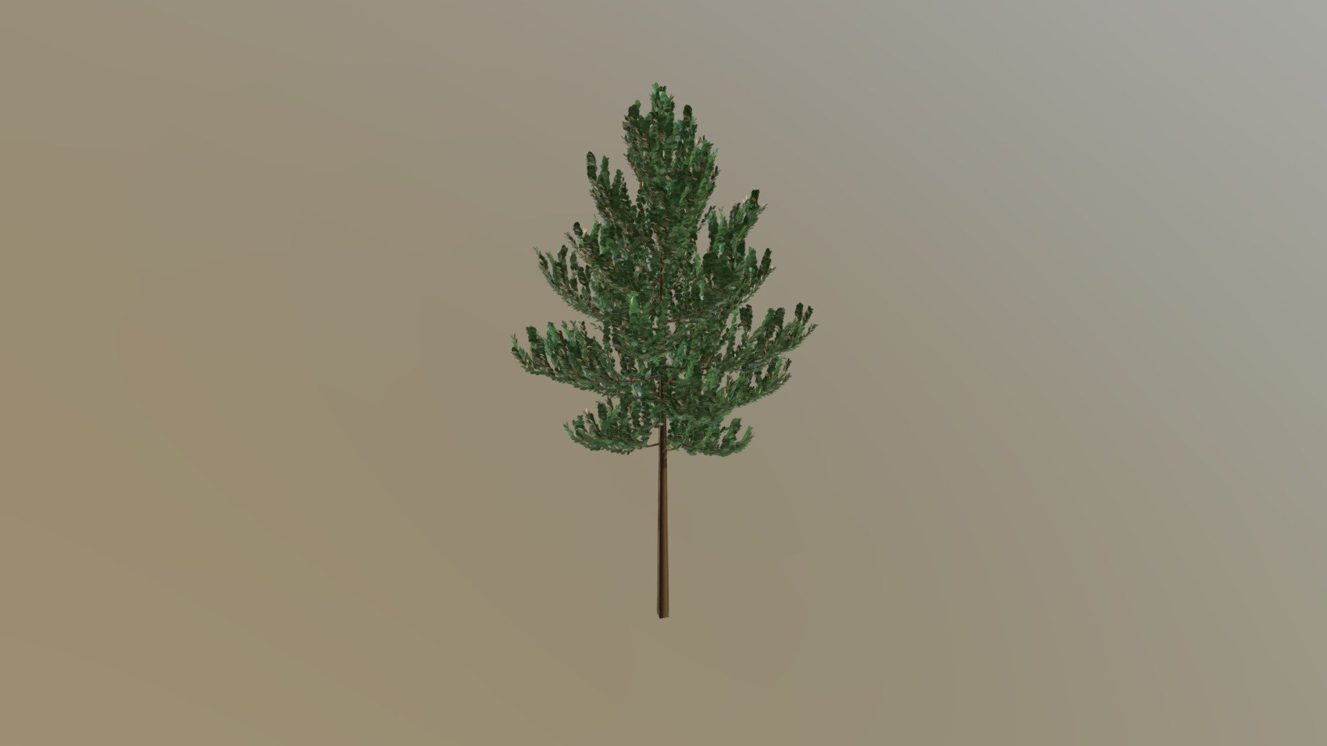 Tree_Sapling - 3D model by JohnBelding [533efa0] - Sketchfab