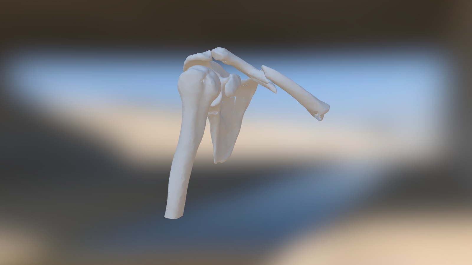 Shoulder - Floating Shoulder - sku354 - 3D model by orto3d [533f9aa ...