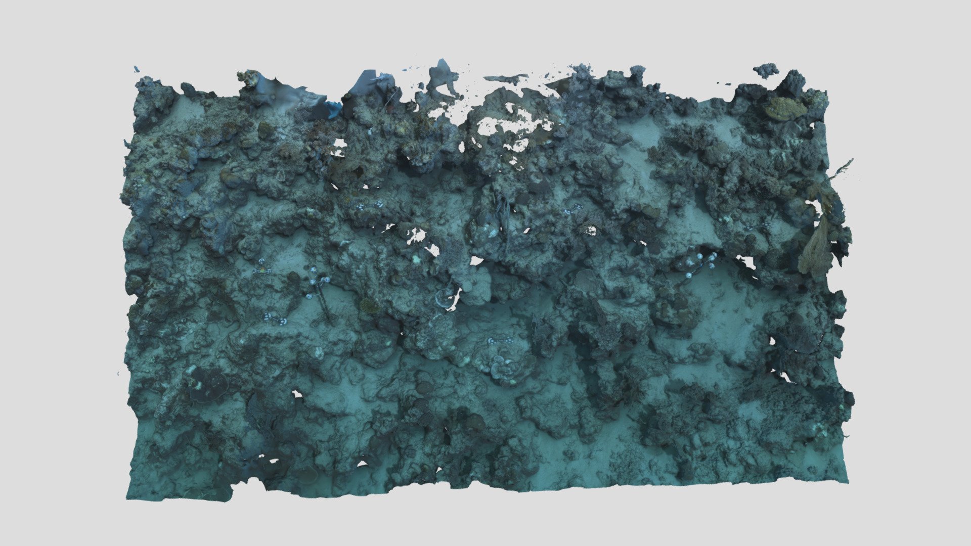 Masig_BA1D_P1_202203 - Download Free 3D model by EcoRRAP (@AIMSEcoRRAP ...