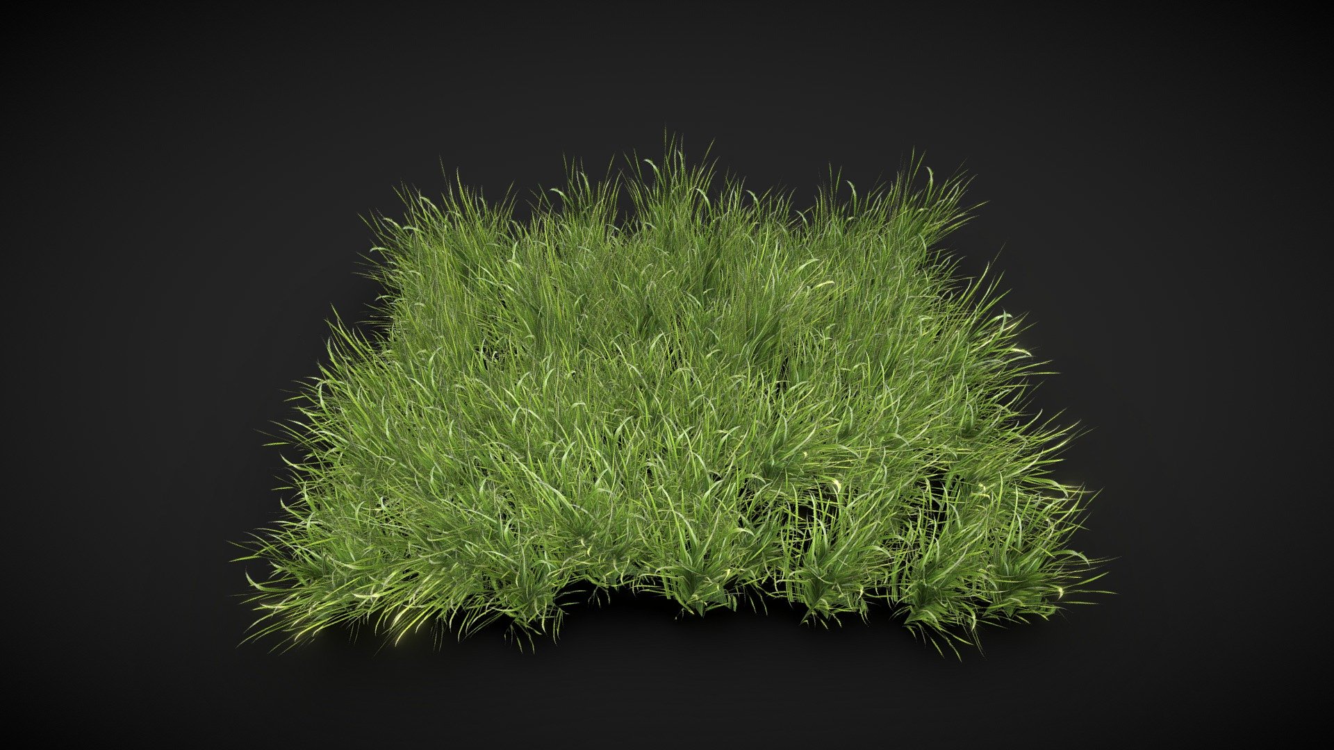 Realistic Grass 3D (2580Polygons) - Buy Royalty Free 3D model by KJ (@kj3dx) [534cff8 ...