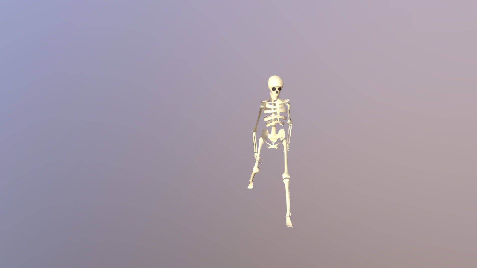 Skeleton - 3D model by glycer [534ee30] - Sketchfab