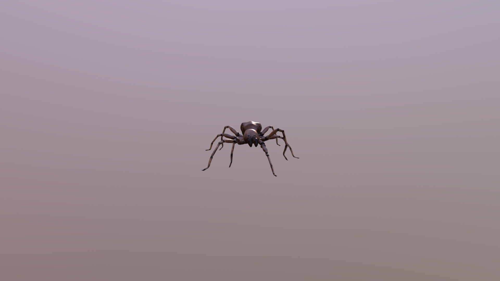 Spider Animated - Download Free 3D model by misfit410 [5352581] - Sketchfab