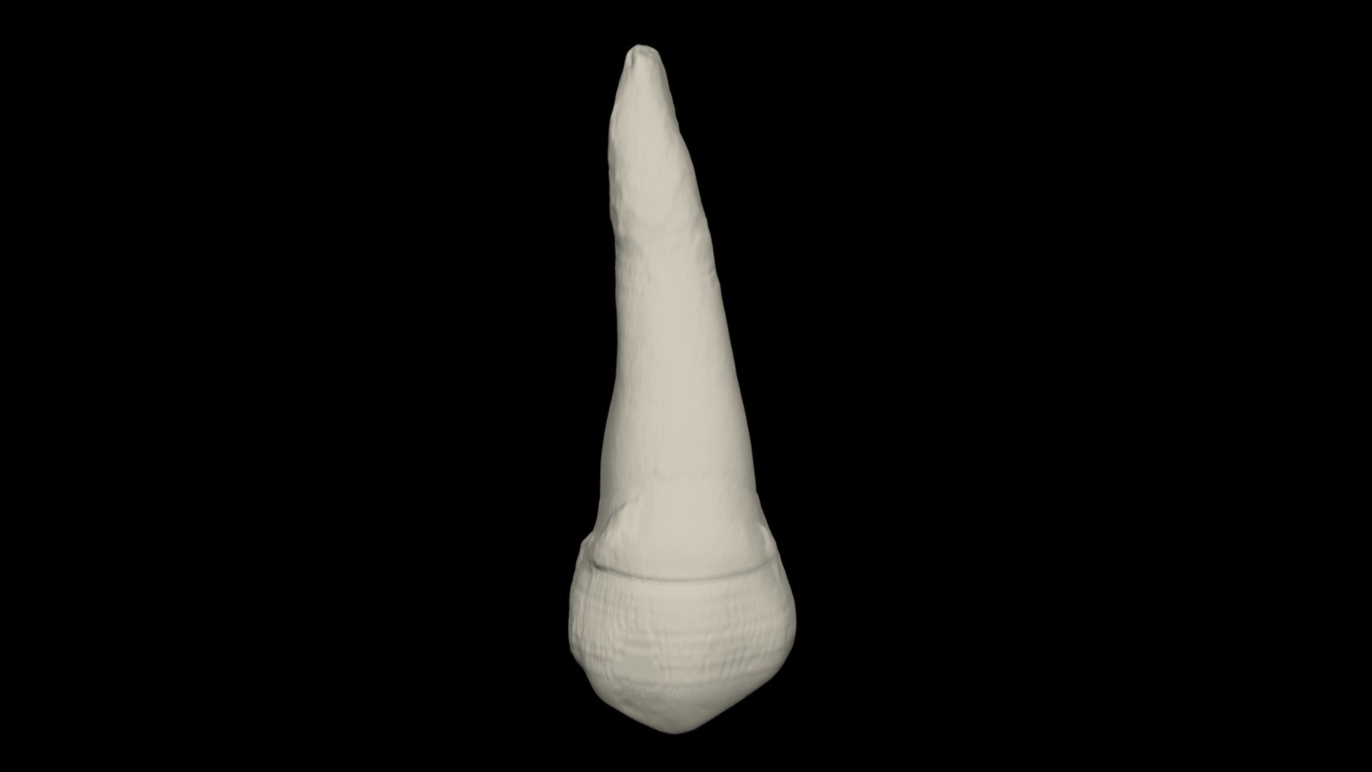 Tooth 14 -- Third premolar H. sapiens - 3D model by hugodutel [535476b ...