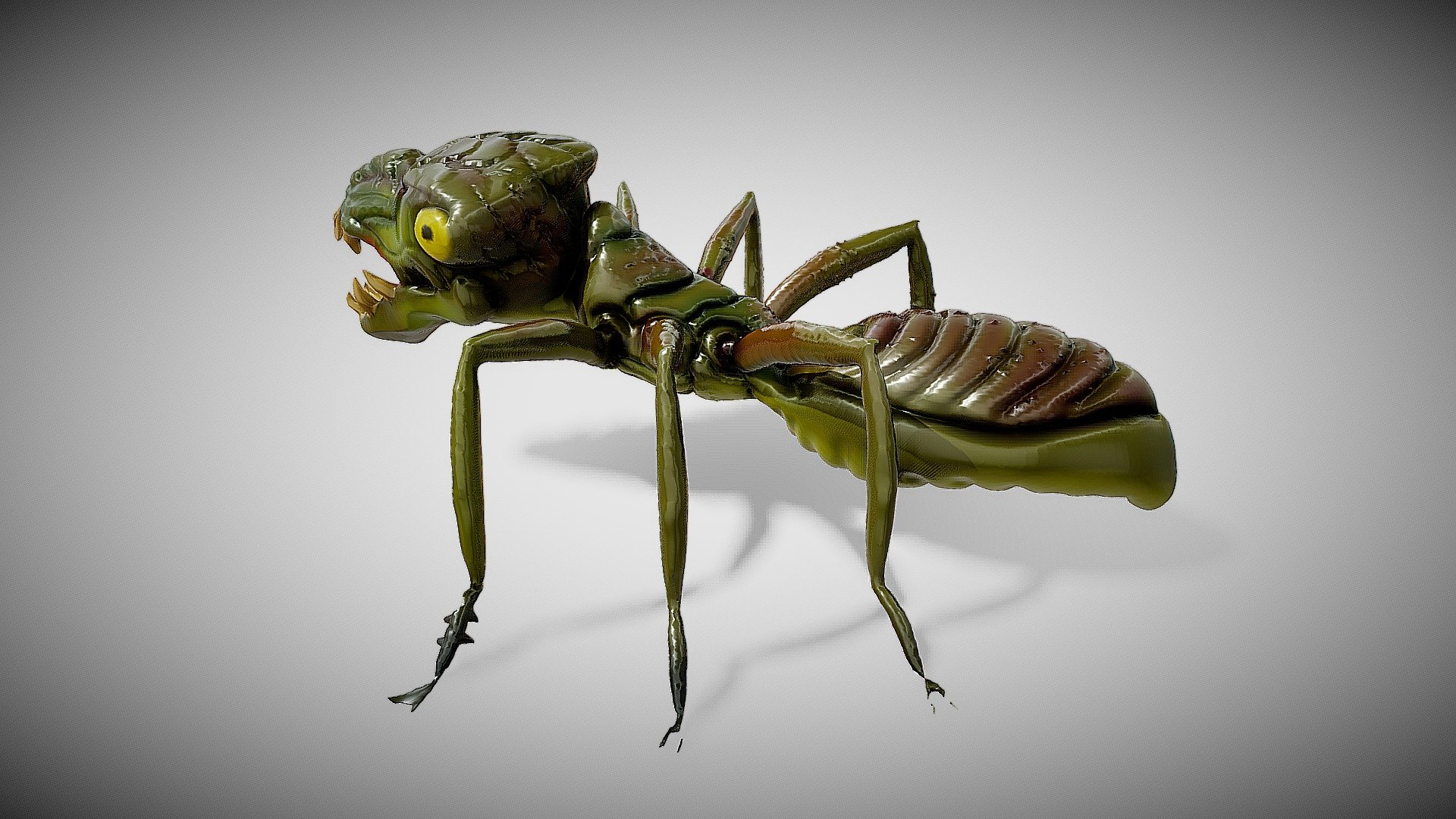 insect - Download Free 3D model by hajak69 [535a89c] - Sketchfab