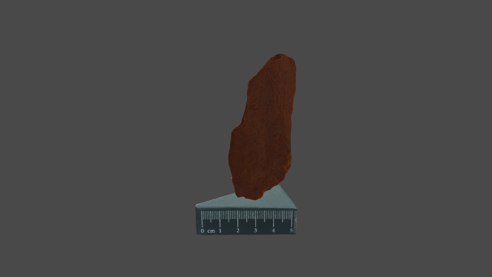รงทอง scale bar - Download Free 3D model by 65201101047 [535ad23 ...
