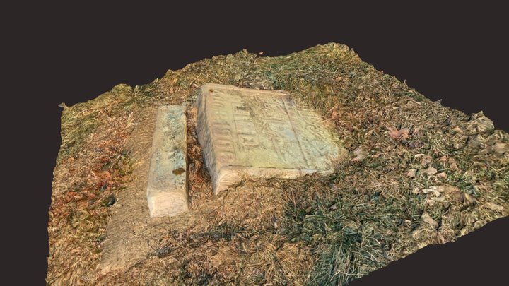 Script 3D models - Sketchfab