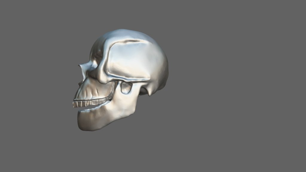 Crânio - 3D model by jaderson_vargas [5362499] - Sketchfab
