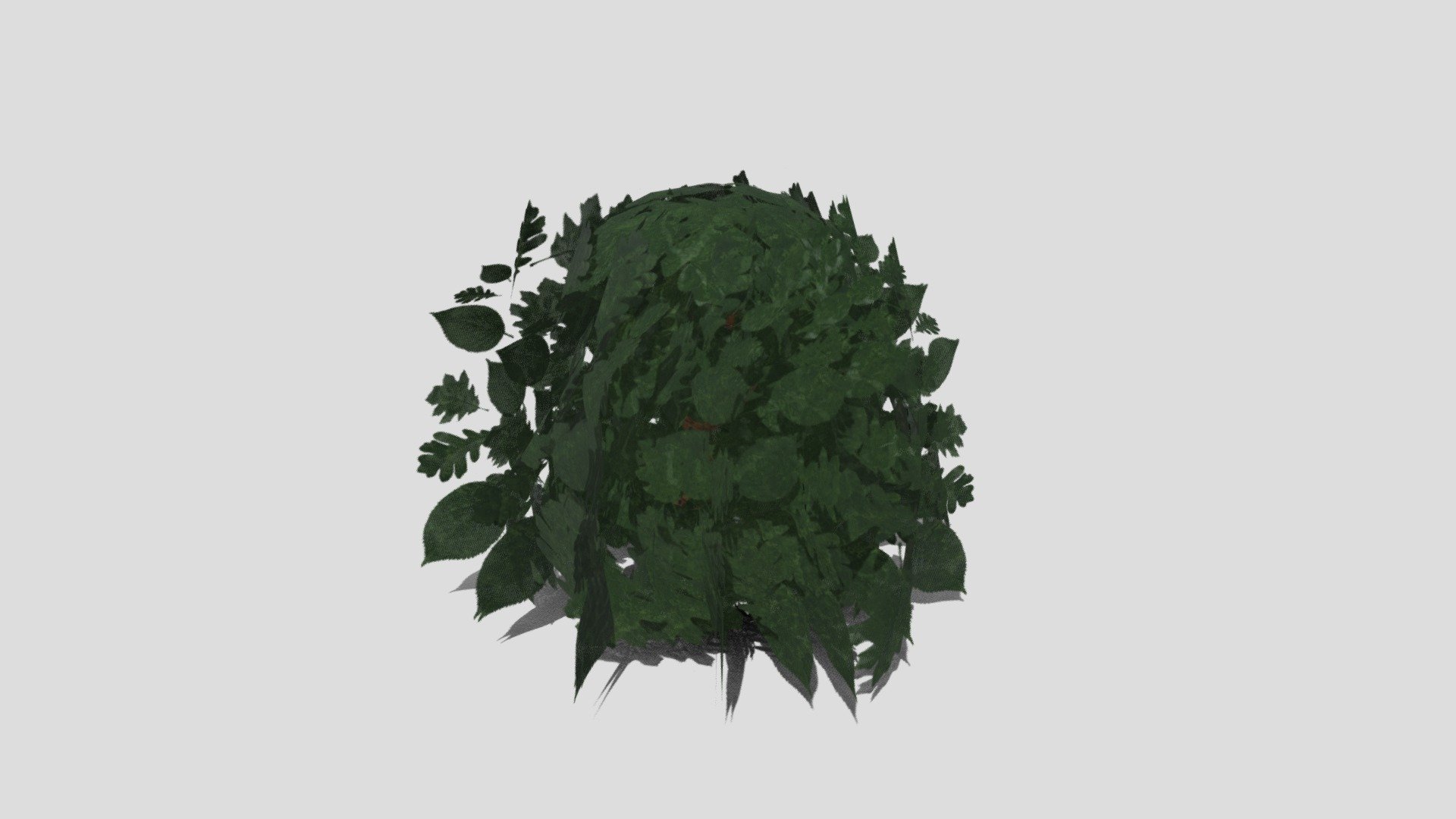 Foliage Bush Model Leahy - 3D model by djleahy [5362566] - Sketchfab