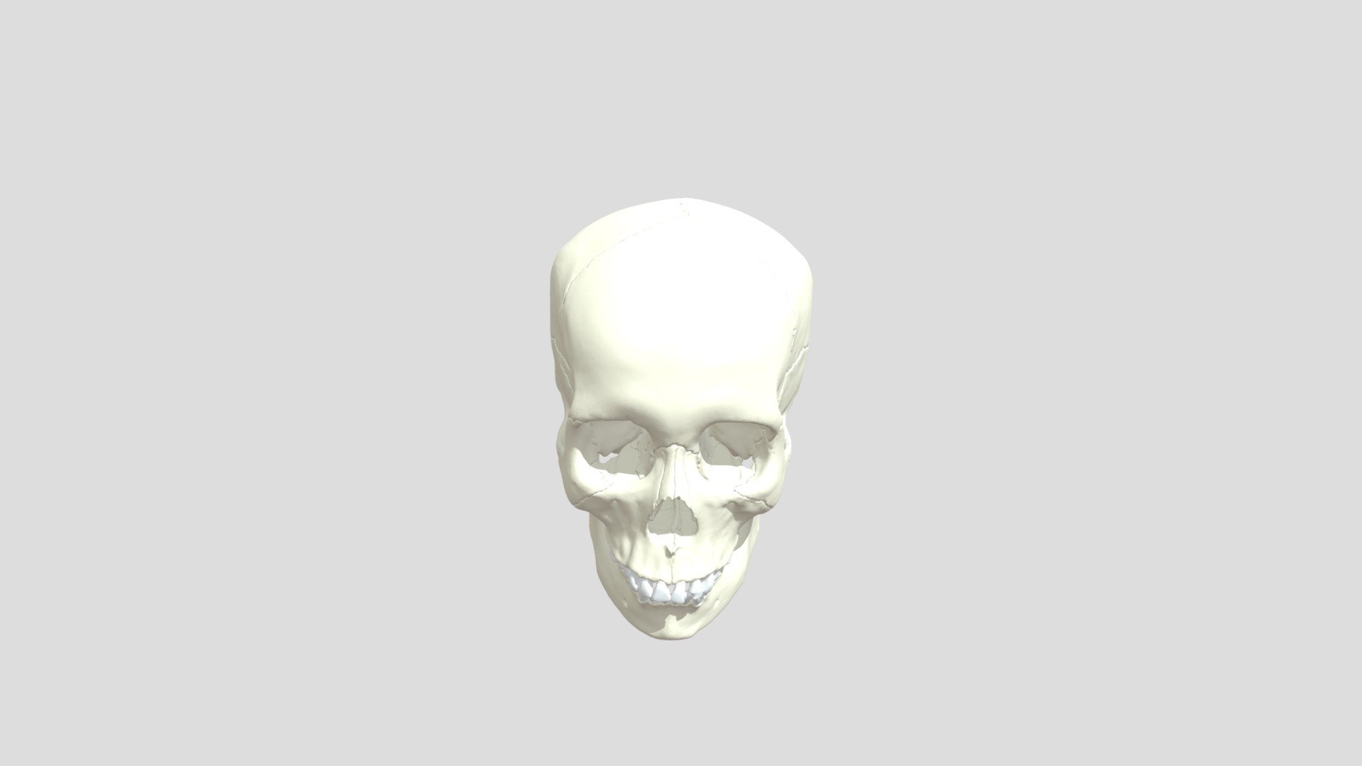 Visible Interactive Human - Exploding Skull - 3D model by ggrdftgykh ...
