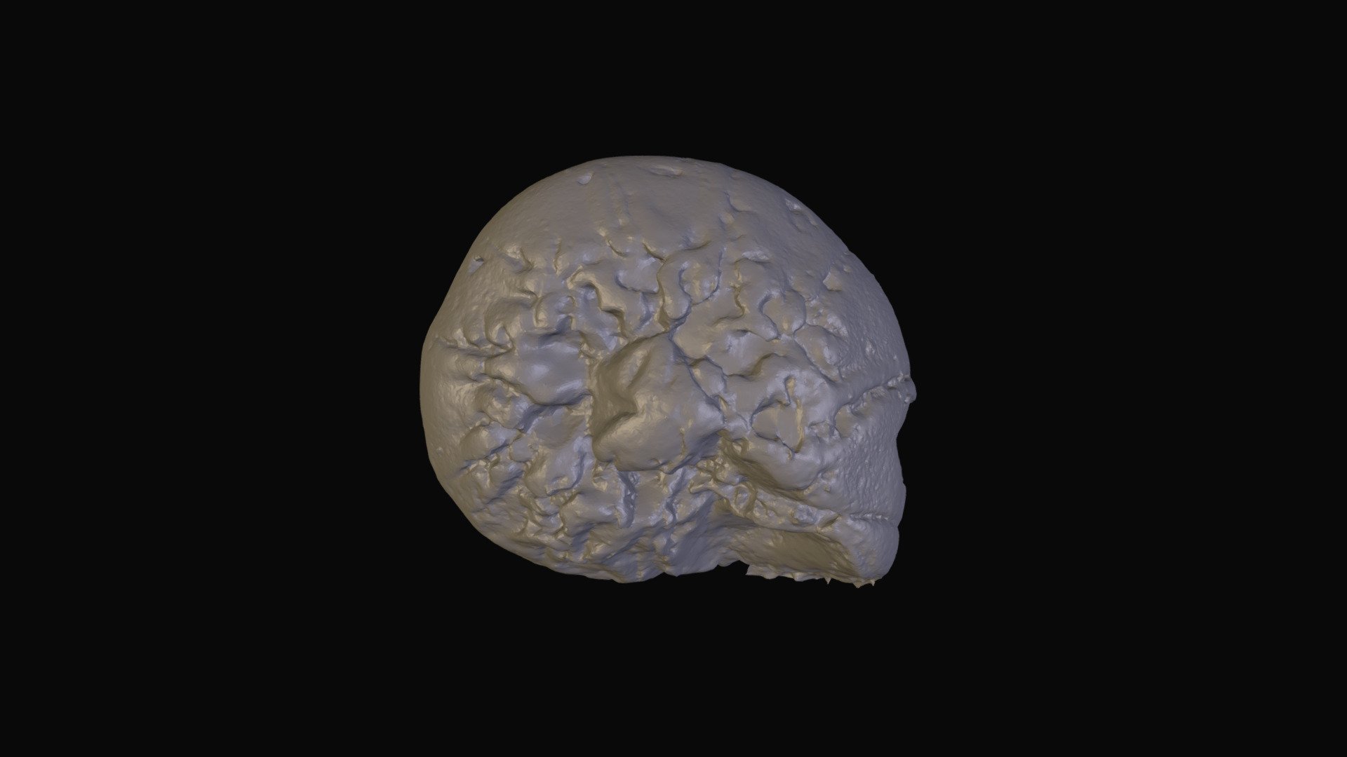 quicksand 1_4 - 3D model by Scarborough Museums and Galleries ...