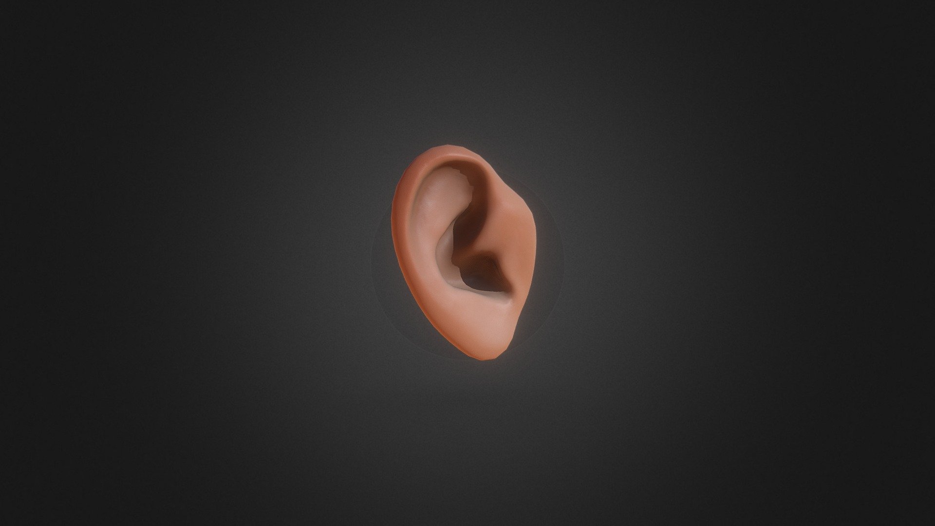 Ear - Download Free 3D model by Delfrador [5366ebd] - Sketchfab