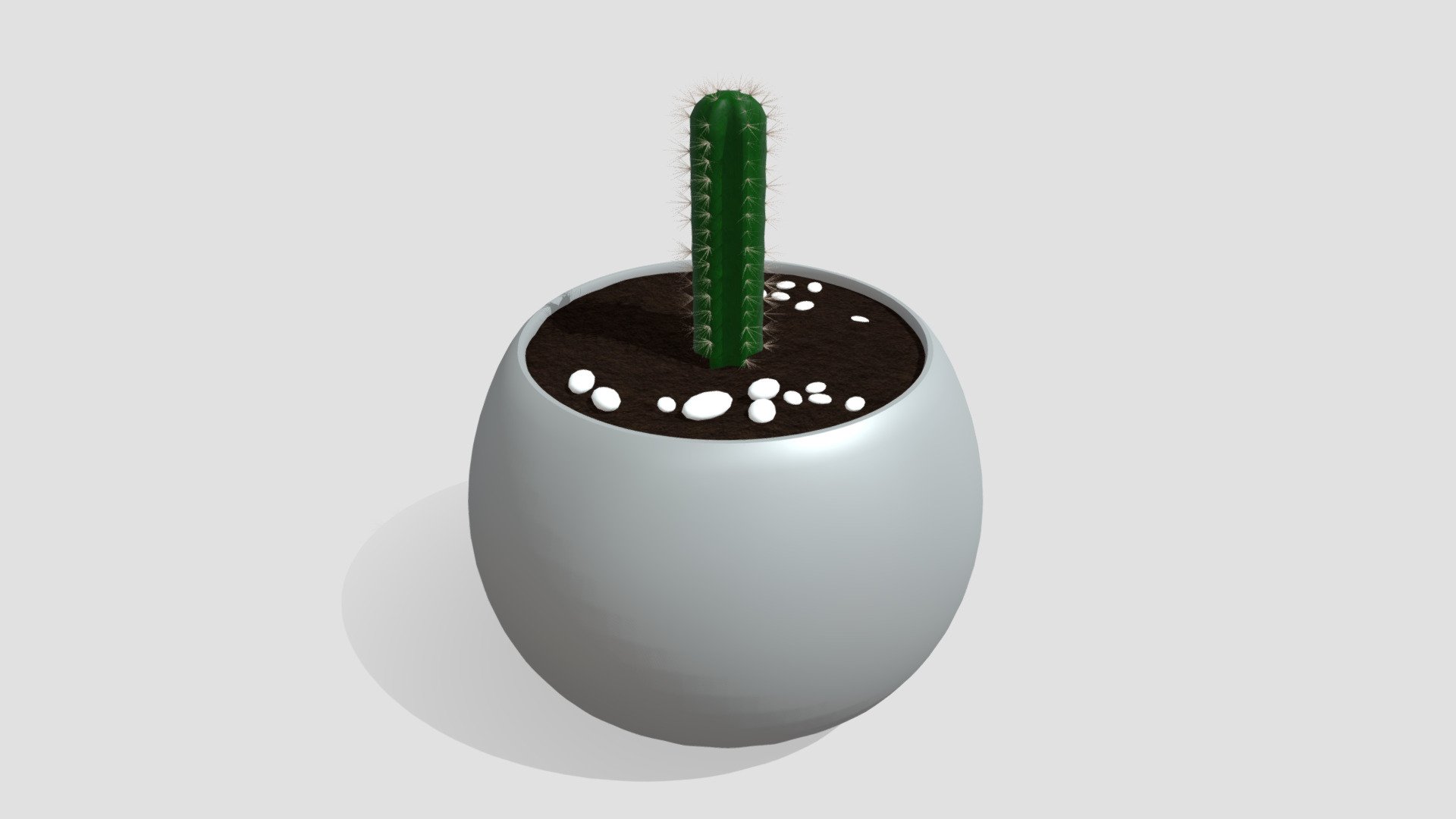 Cactus Pilosocereus Pachycladus - 3D model by Alan Stevenres ...