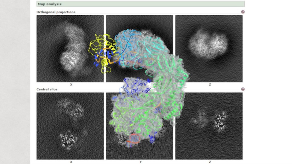 EMDB › EMD-7048 - 3D model by Interactive 3D Data (@proteinsimulation ...