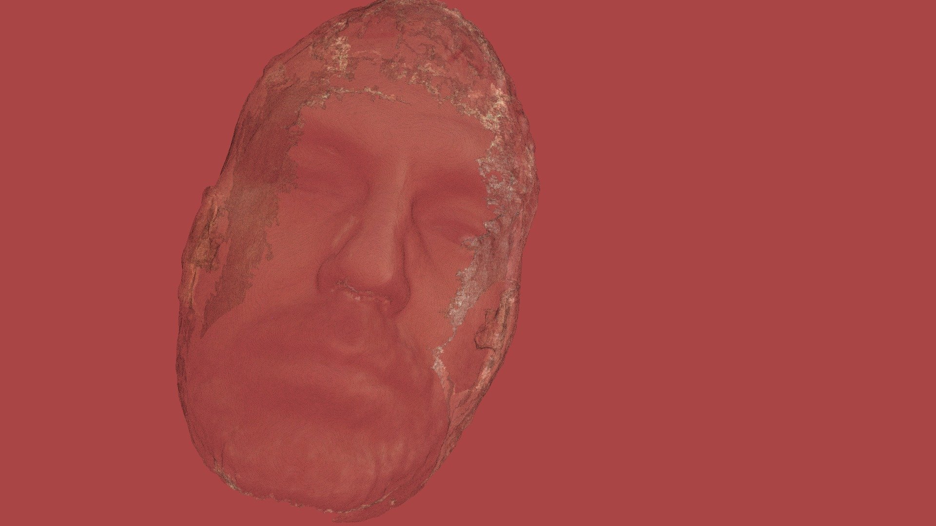 A little head - 3D model by danabattilana [5380cda] - Sketchfab