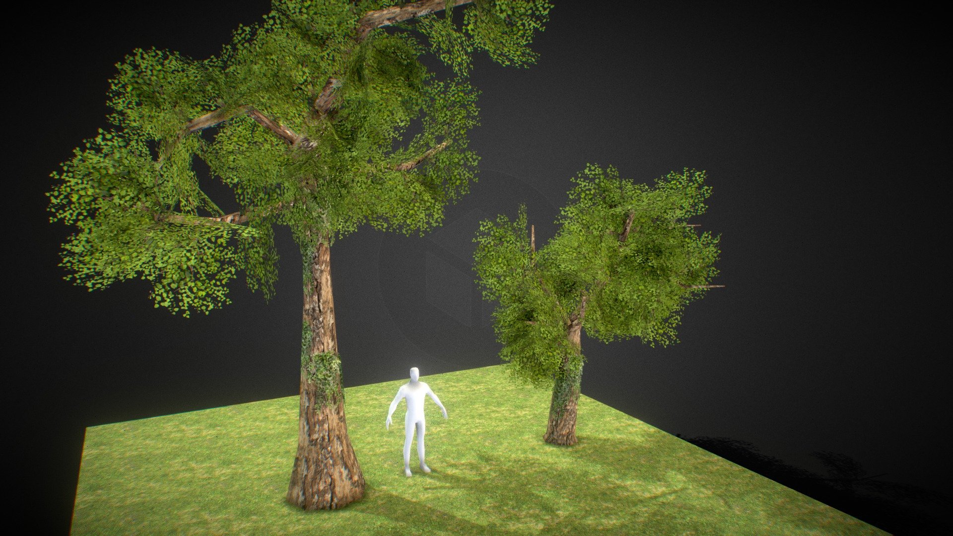 Low-Poly And Realistic Trees For Tropical Areas - Download Free 3D ...