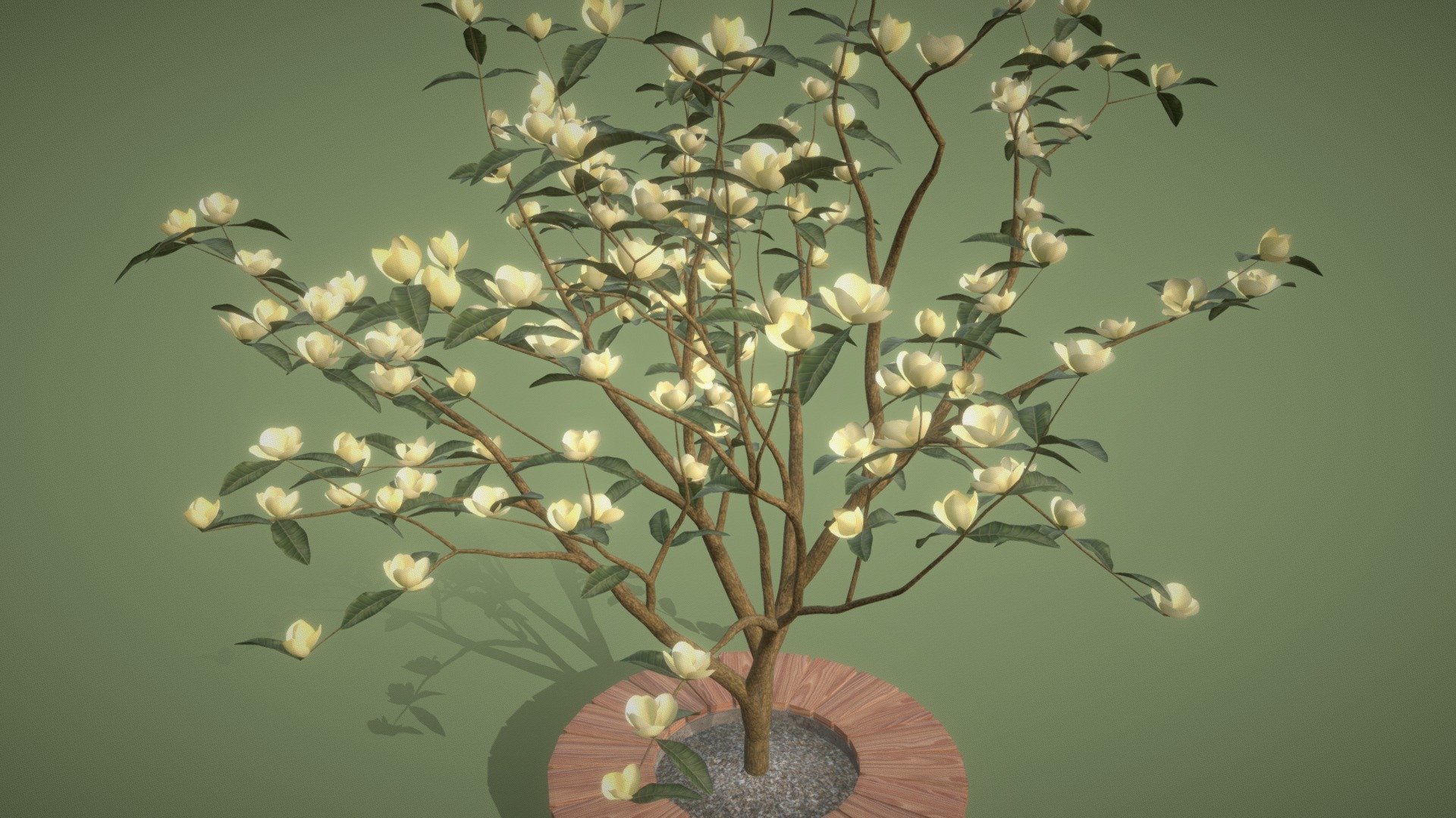 Yellow magnolia tree (3D) - Buy Royalty Free 3D model by tochechka ...