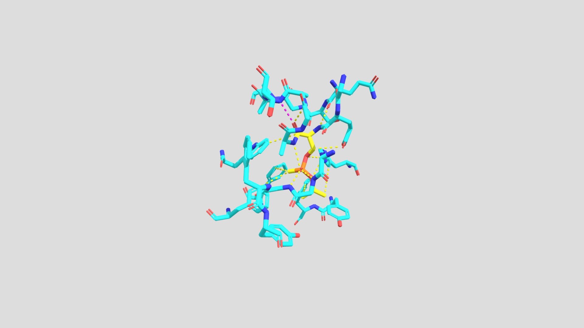 Acetylcholinesterase - 3D model by summahrolfe [5386490] - Sketchfab