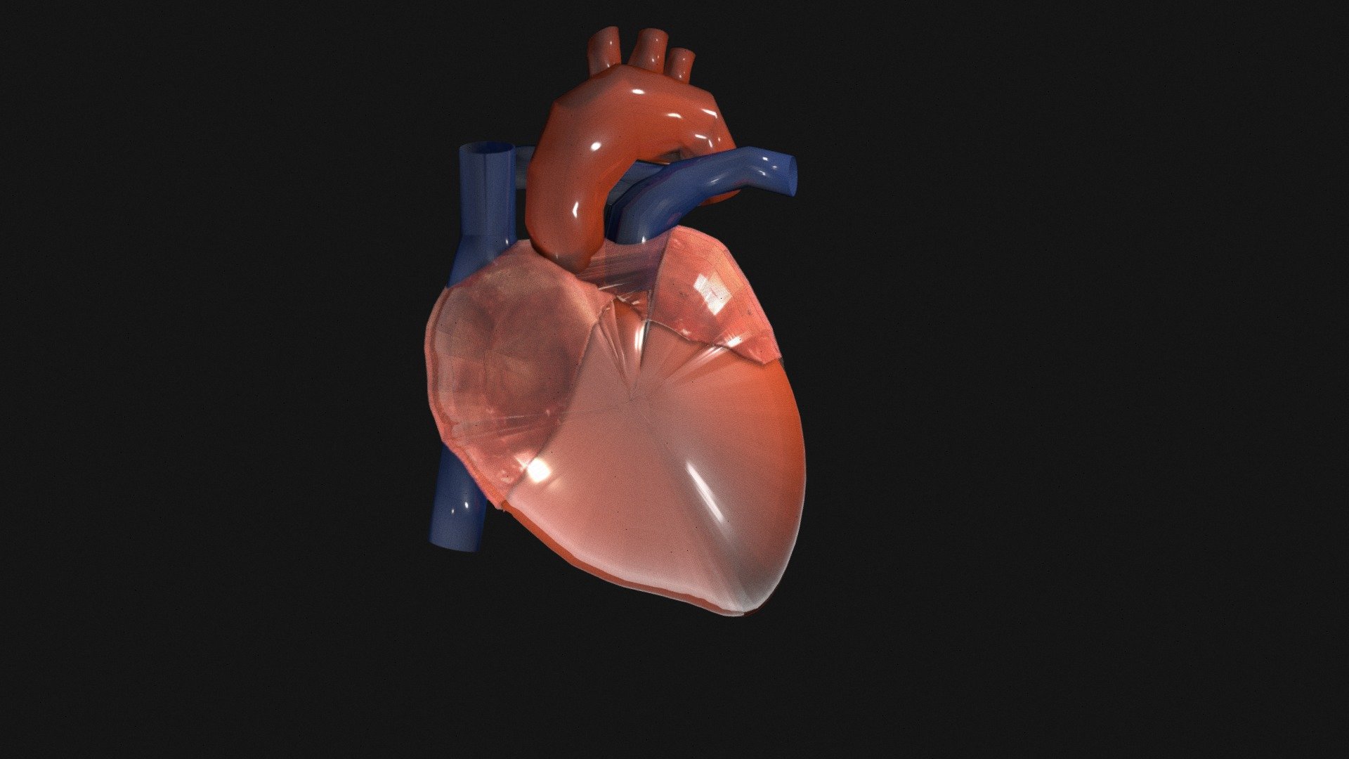 Anatomy of Heart - 3D model by sravi1 [53934e2] - Sketchfab