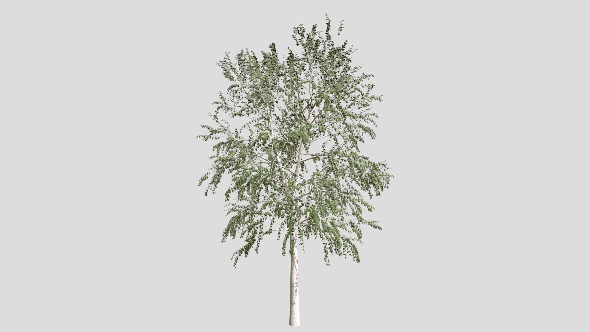 Tree - Download Free 3D model by Milisandra [5396ddc] - Sketchfab