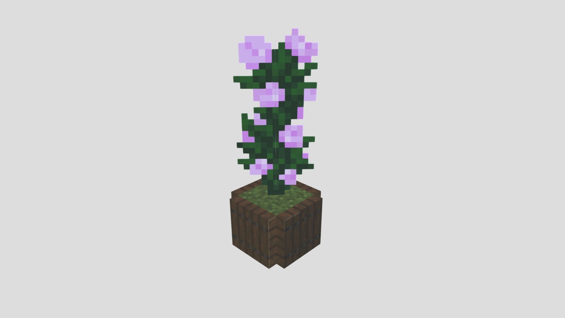 Peony - 3D model by uwu (@O3) [539ecd4] - Sketchfab