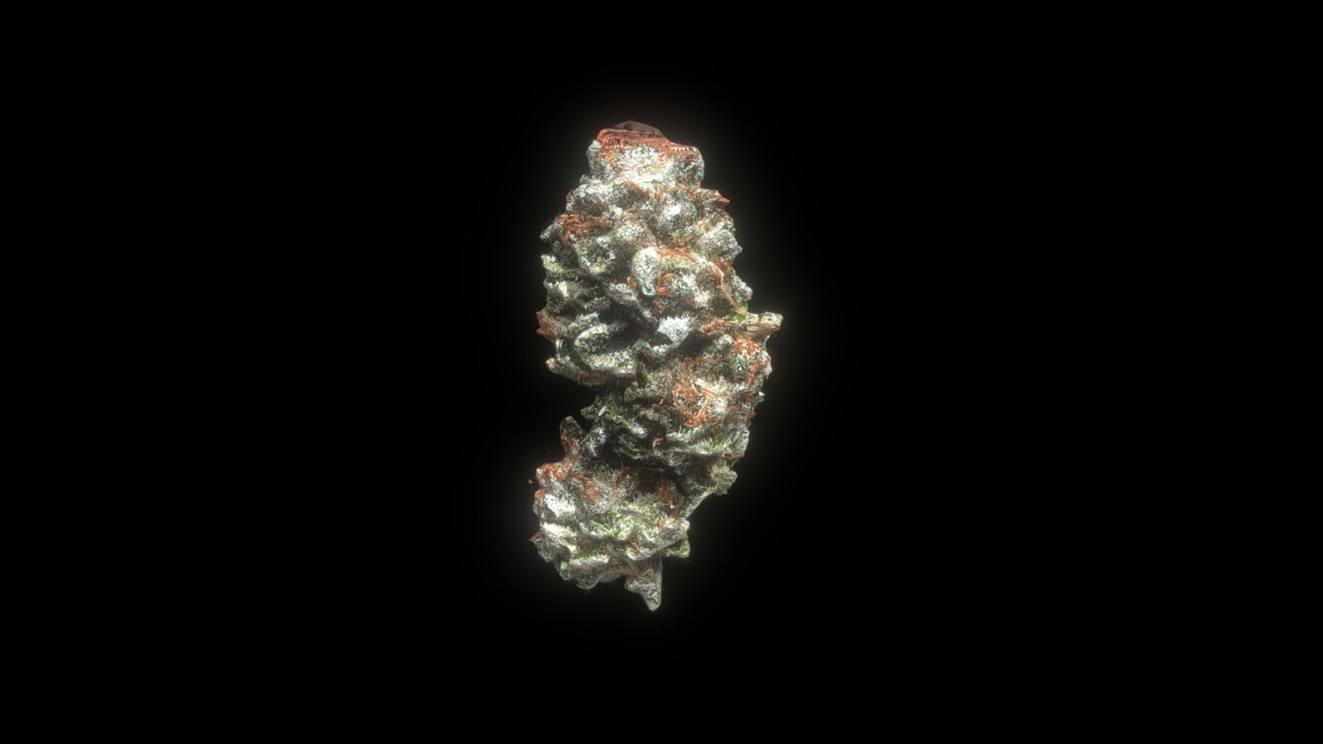 Metawanna Nug - Download Free 3D model by jin (@madjin) [53a3c1b ...