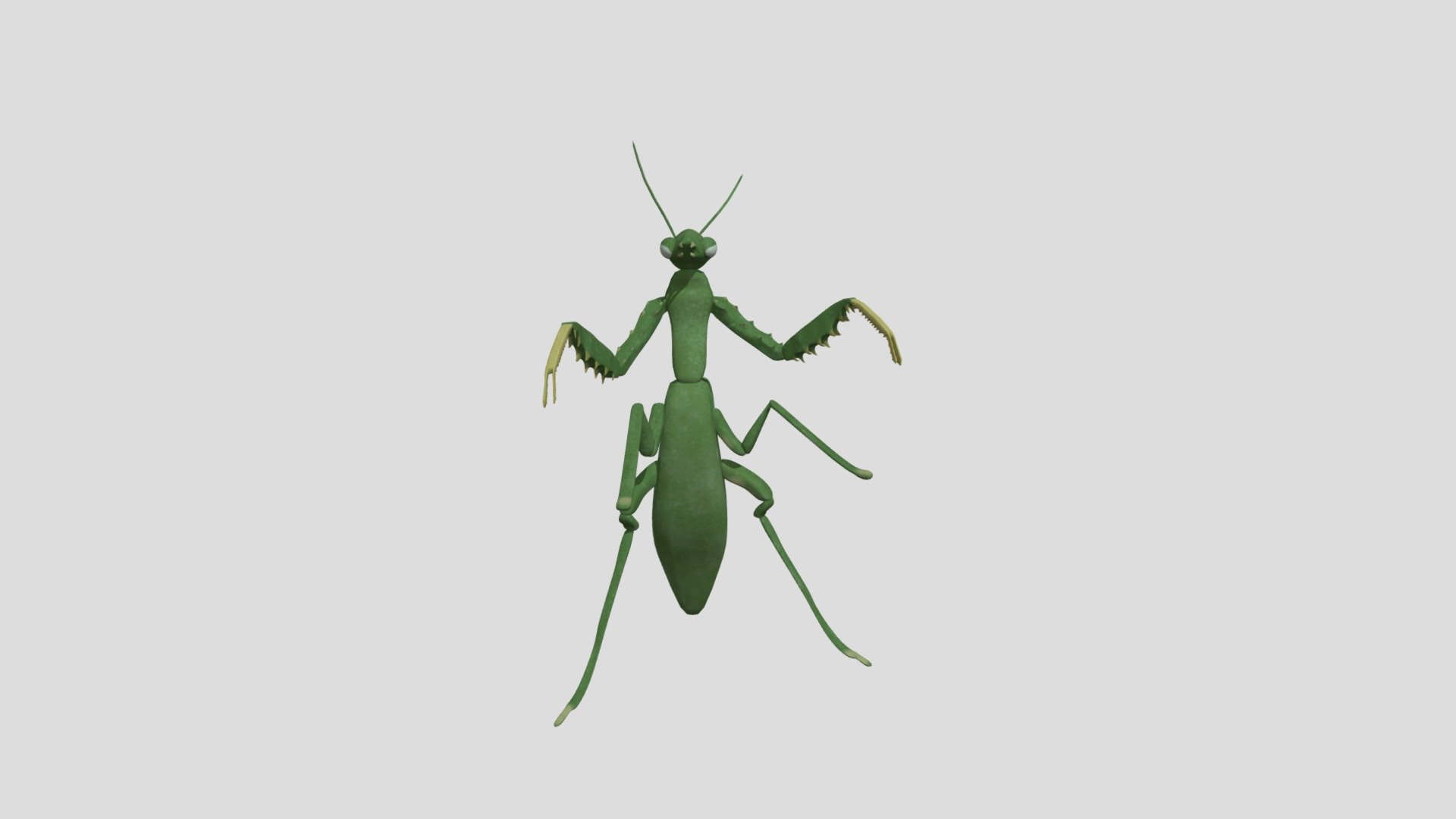Mantis - Download Free 3D model by sassimedamine [53a4883] - Sketchfab