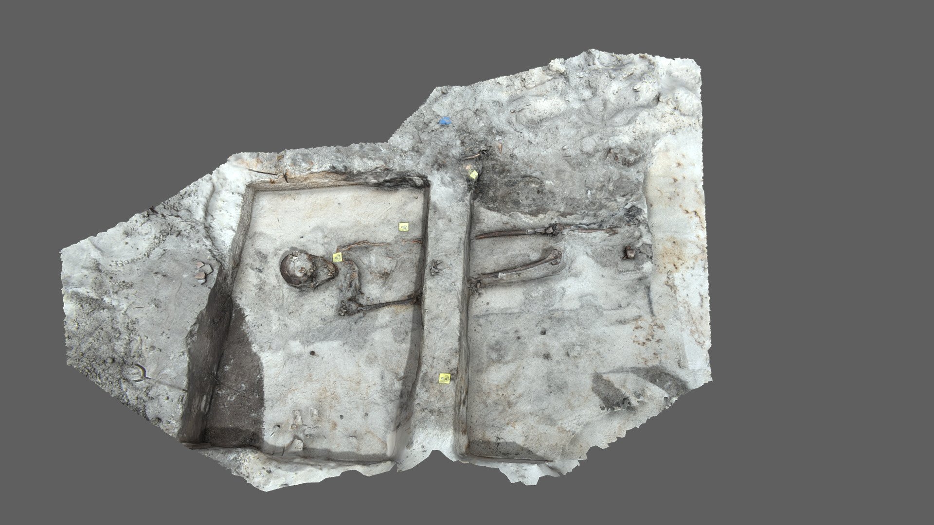 2023 BRB BEF 53 Grab Adult - 3D model by praehist3d [53ad7d9] - Sketchfab