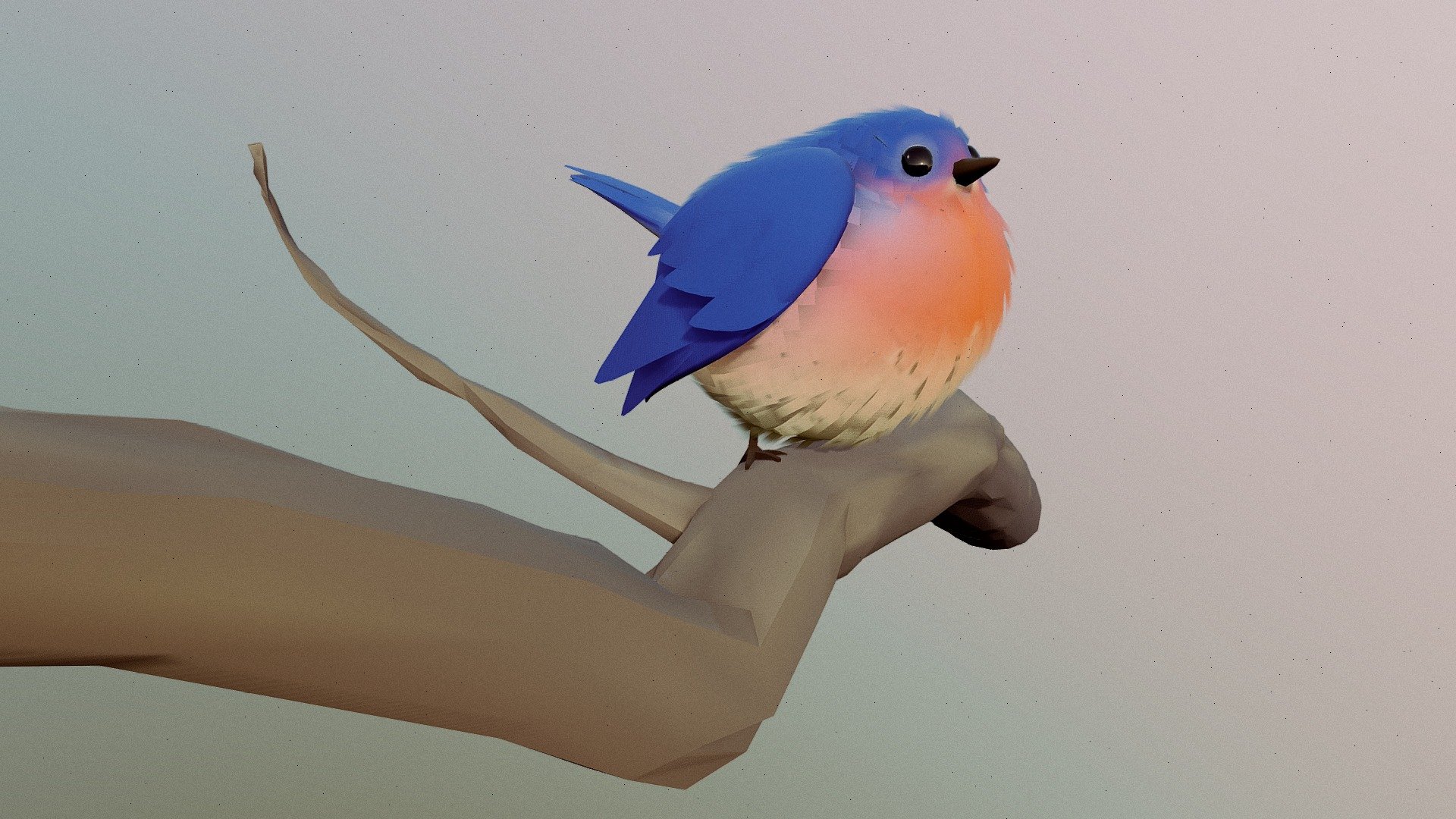Chonky Birb - Download Free 3D model by Michel Donze (@mdonze) [53b801a ...