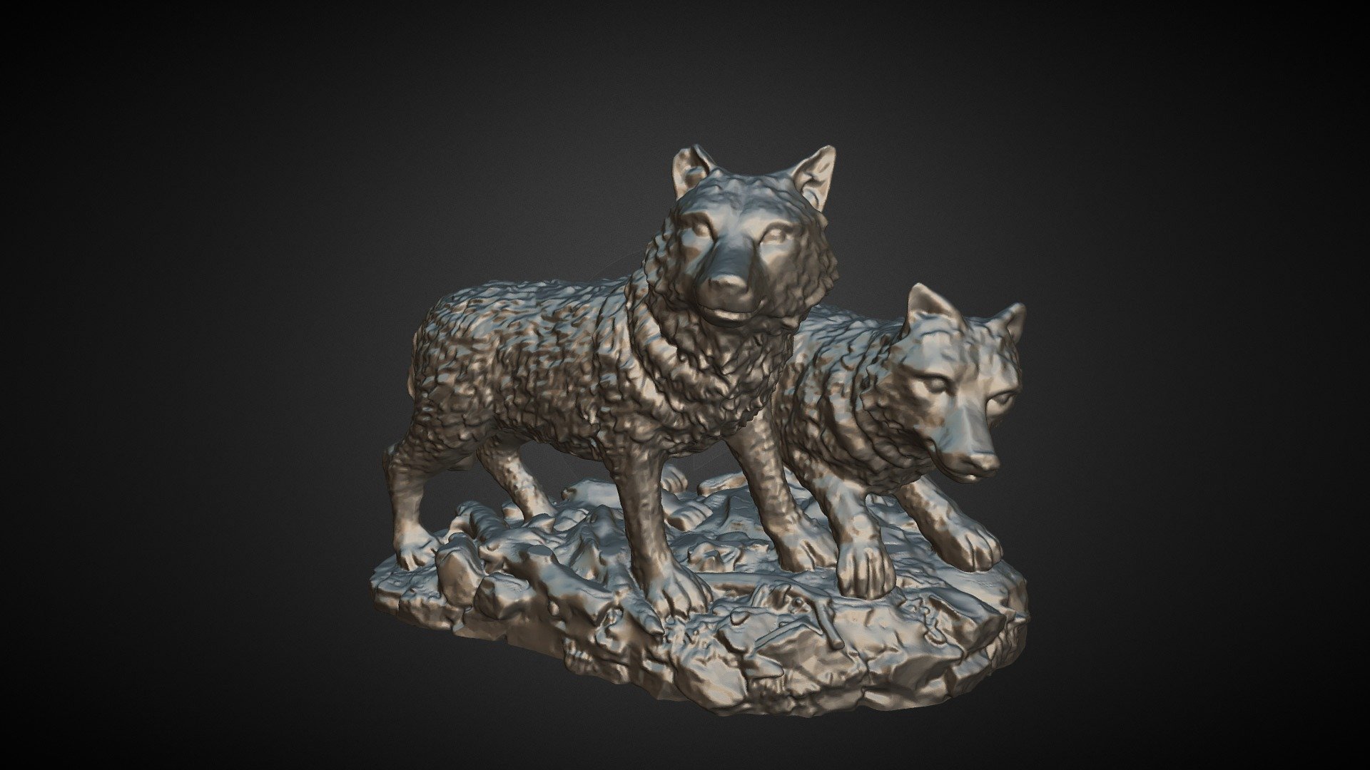 grey wolves northern territories - Buy Royalty Free 3D model by ...