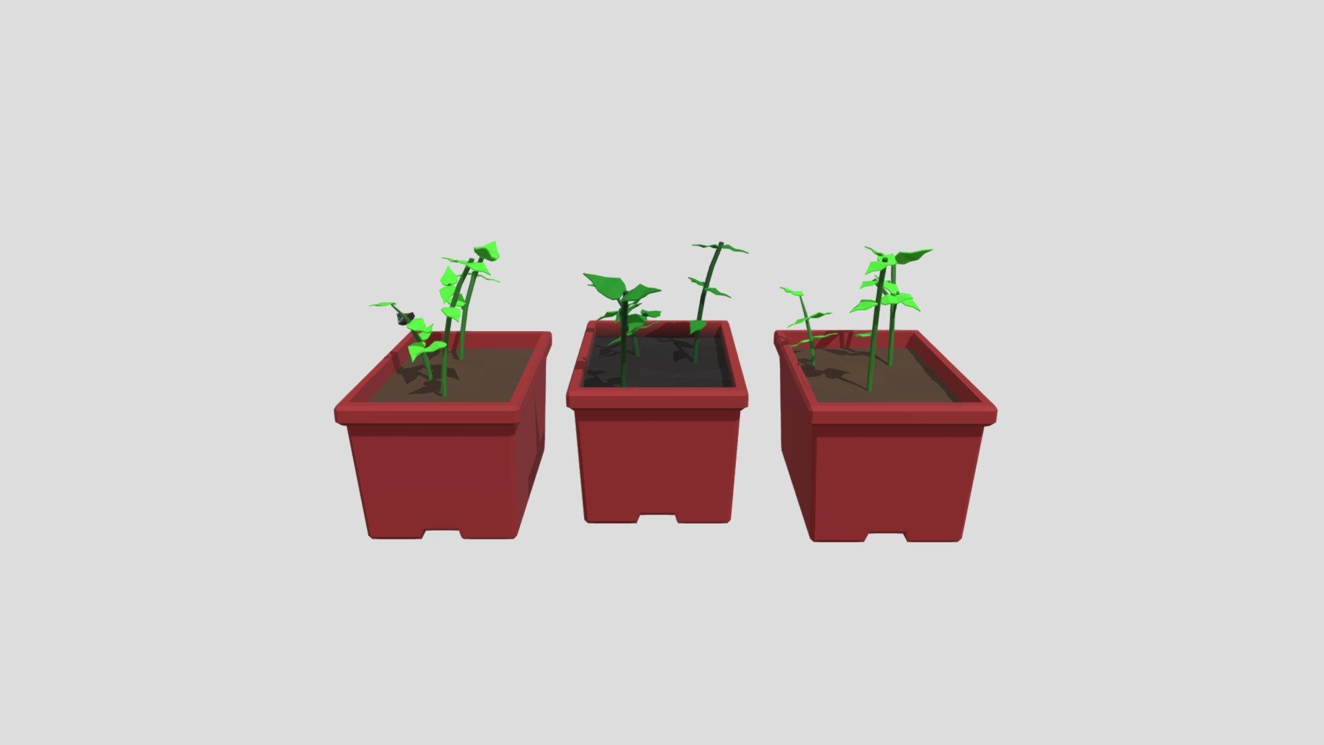 Plant Growth Experiment - Download Free 3D model by pedrobax [53ba7e6 ...