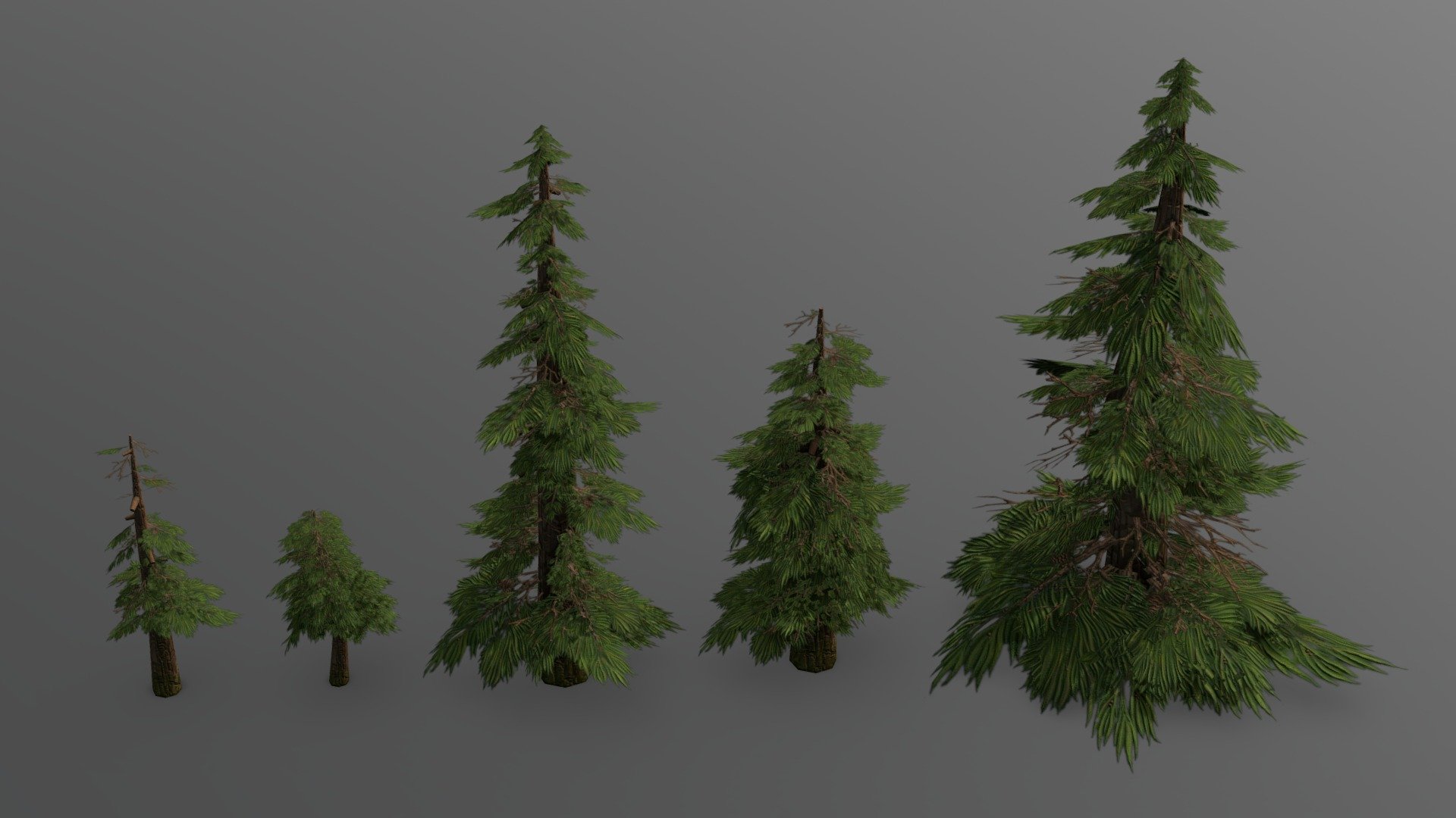 Pine tree low poly - Buy Royalty Free 3D model by RomaVFX [53bc16e ...