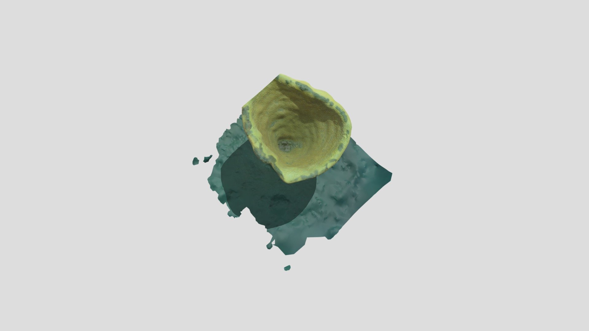 Neptune’s cup sponge, Cliona patera - 3D model by pordive [53c3d3d ...