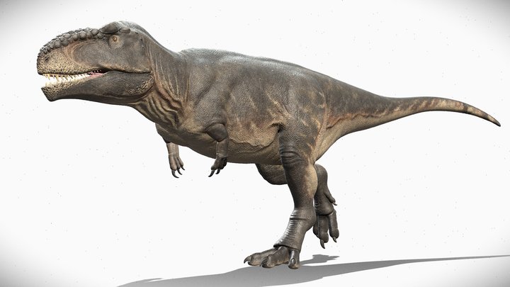 T-rex 3D models - Sketchfab