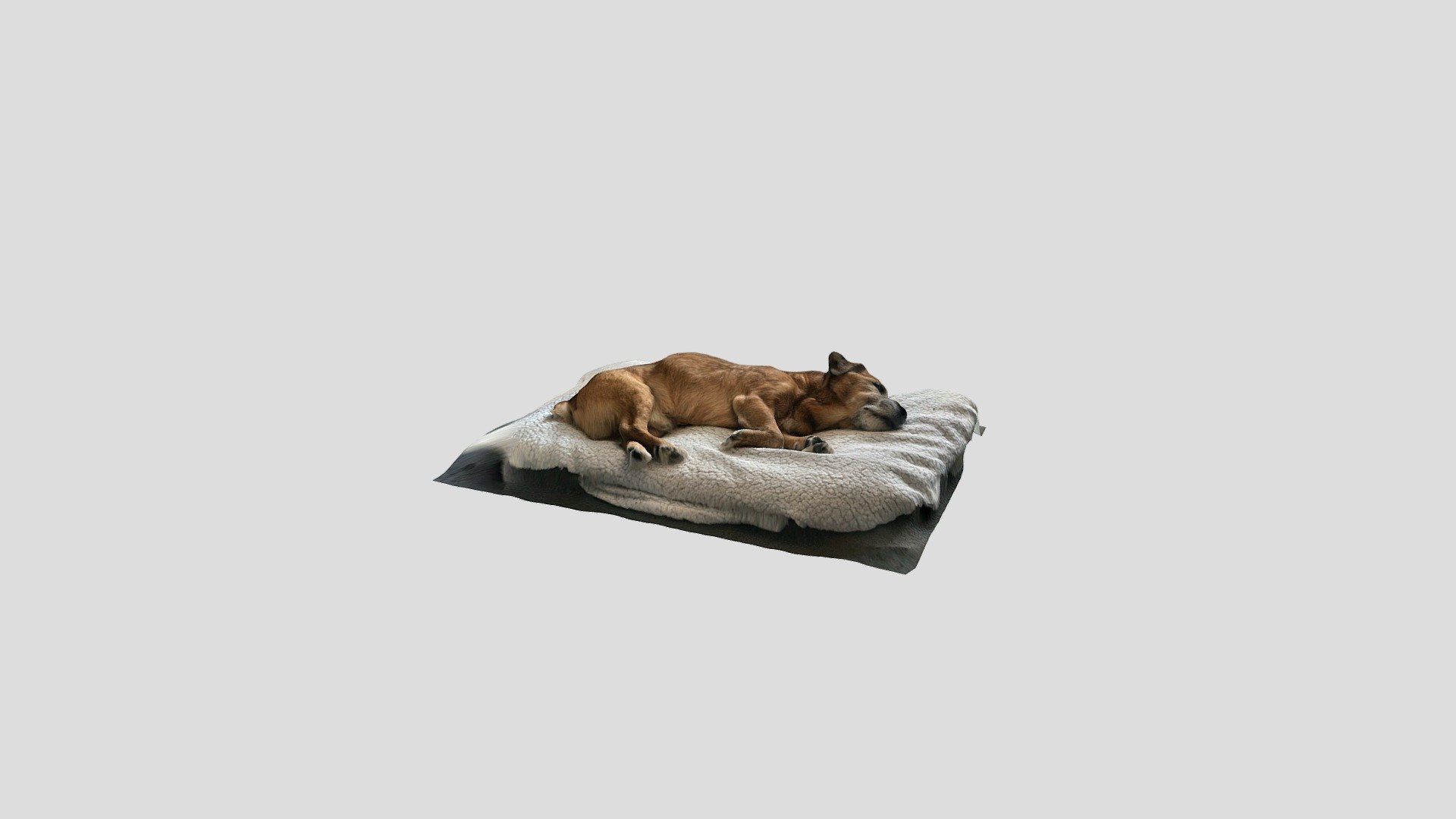 Tyke3 - Download Free 3D model by TykeHunt18 [53c8b1f] - Sketchfab