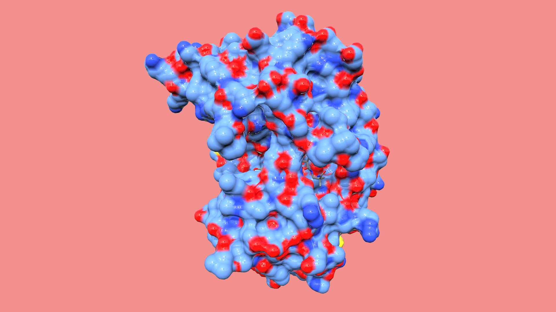 Renin Aliskiren - 3D model by MedChemProf [53c8d19] - Sketchfab