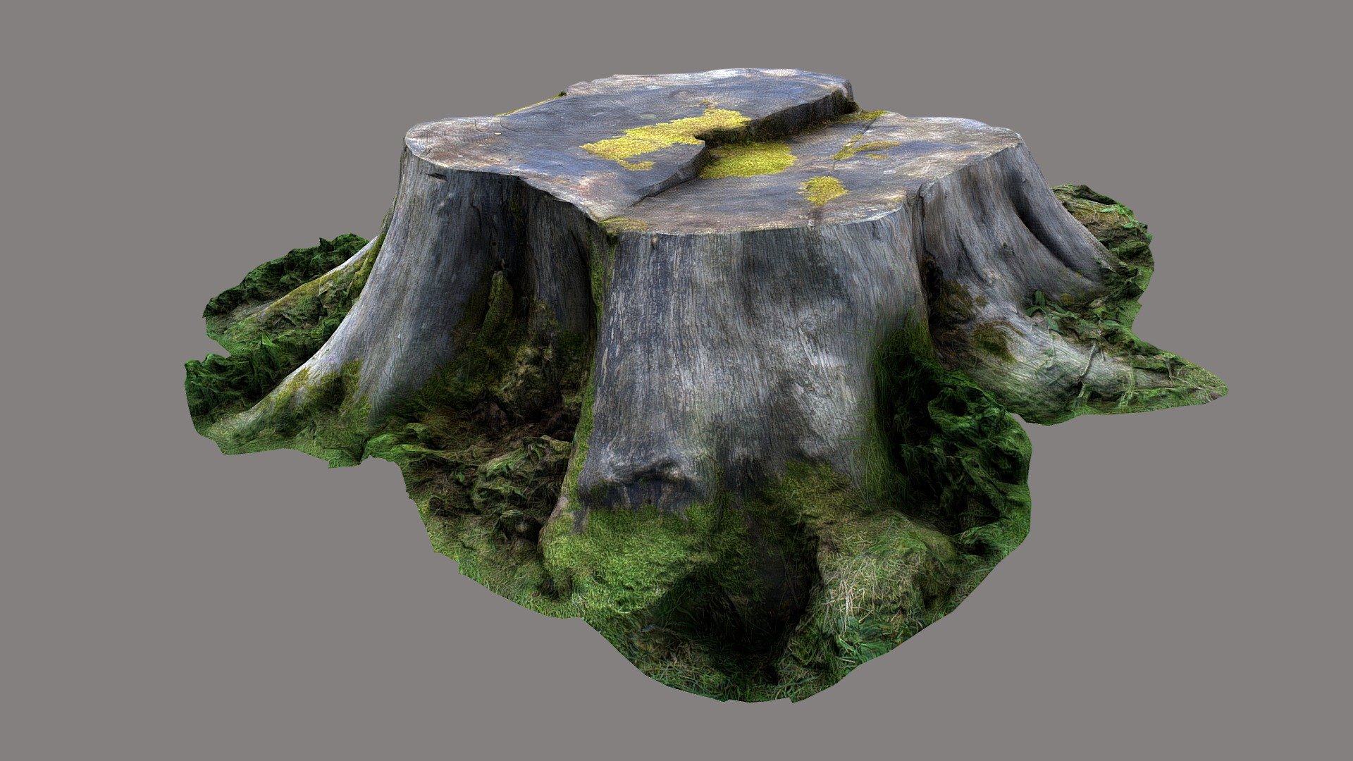 Mossy tree stump low poly - Buy Royalty Free 3D model by Radju [53cb757 ...