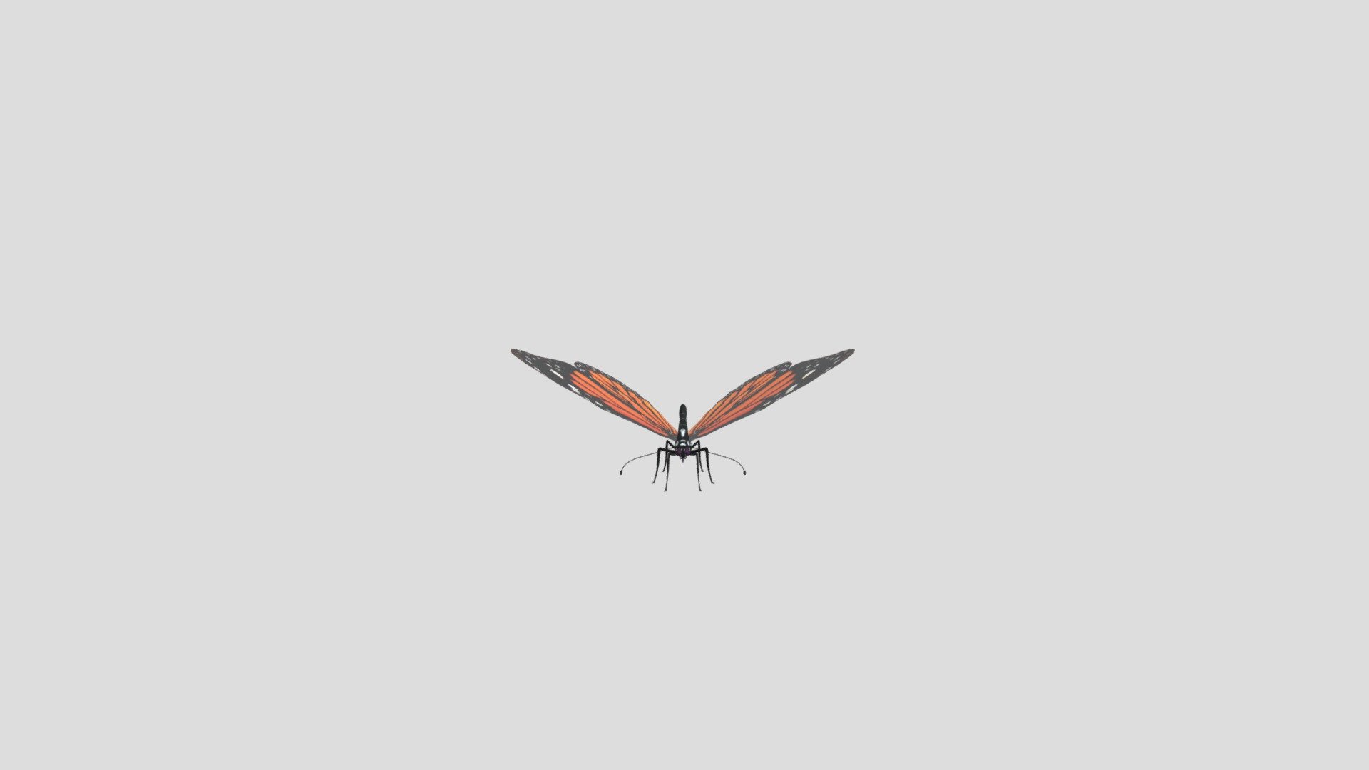 蝴蝶+材质+绑定 - Download Free 3D model by michael.yi.cui [53da2dc] - Sketchfab