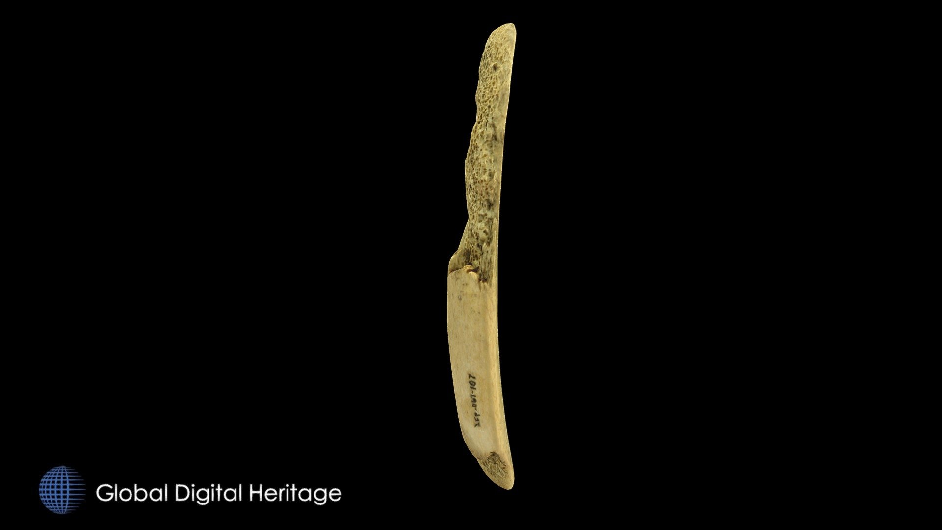 XFP-067 Bone tool. Sanak Island, Alaska - Download Free 3D model by ...