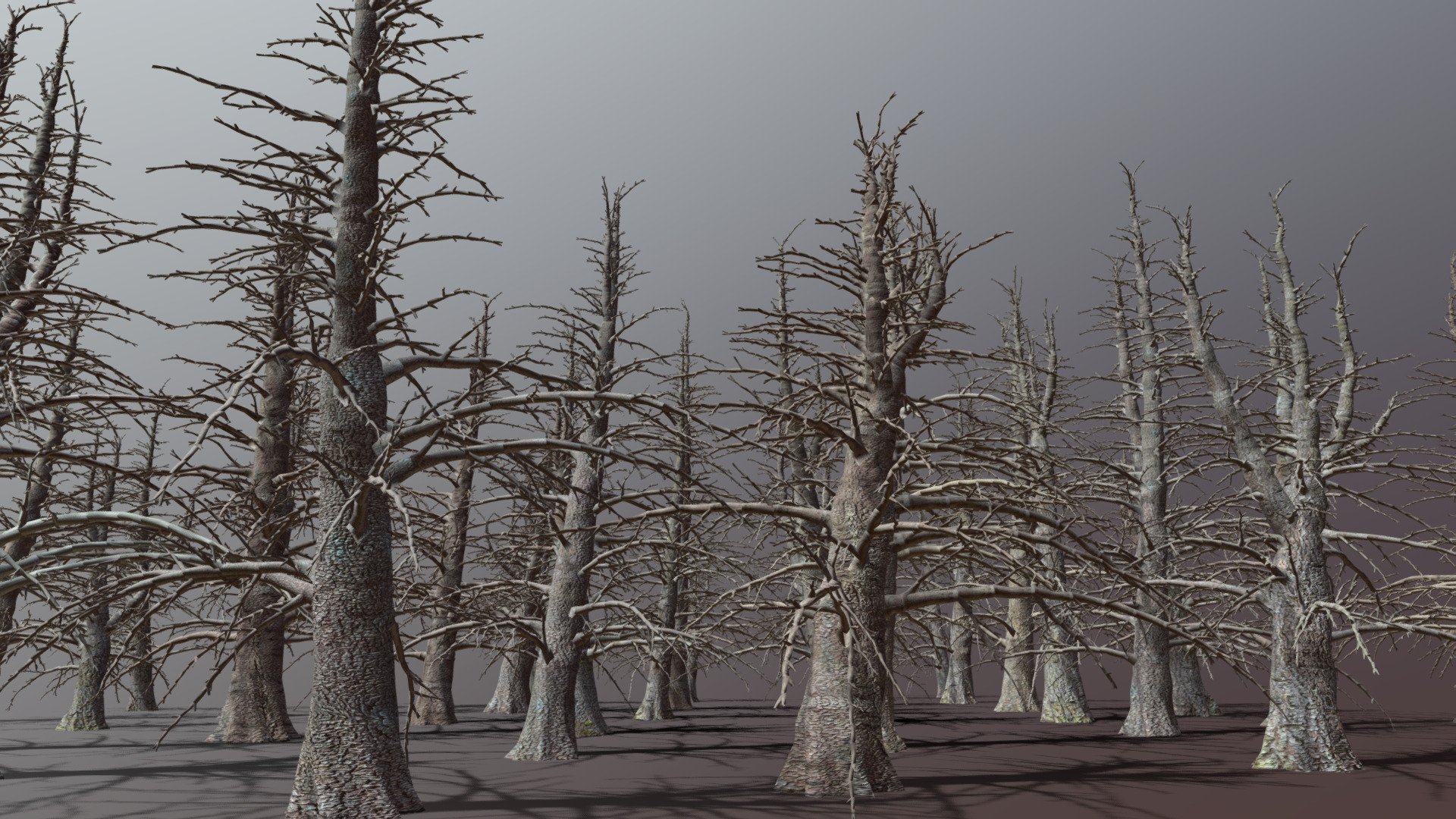 36 Fir / Spruce Trees Pack (high-Poly) - Buy Royalty Free 3D model by ...