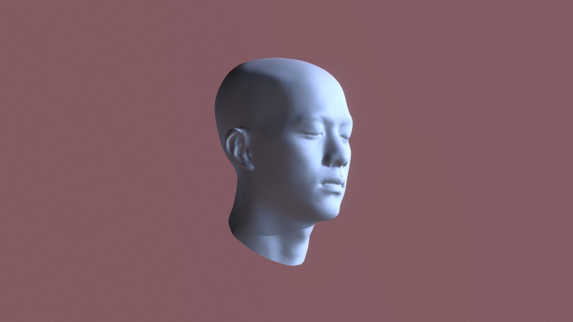 Human Head - 3D model by Payzero (@master16finearts) [53e3510] - Sketchfab