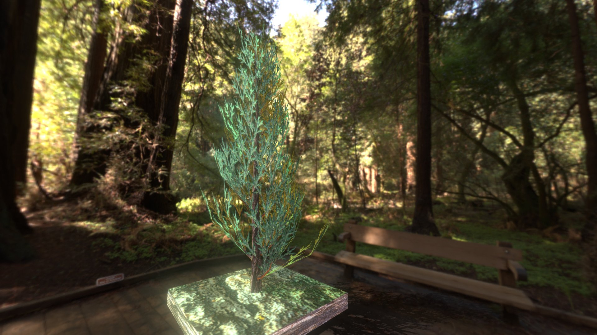 Tree - Download Free 3D model by Miguel-Angel [53e5be4] - Sketchfab