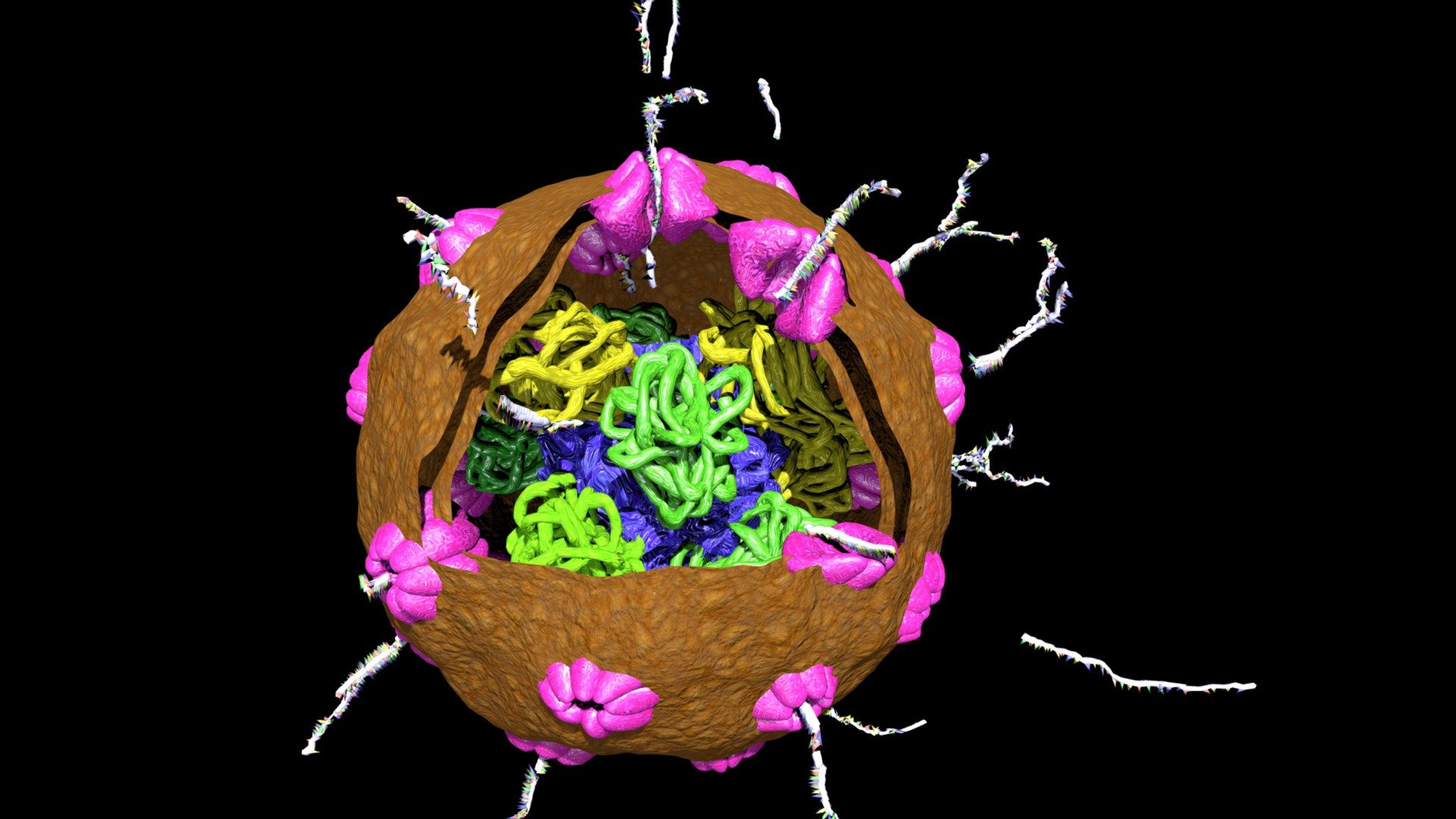 Cell Nucleus - Buy Royalty Free 3D model by Sereib [53e6405 ...