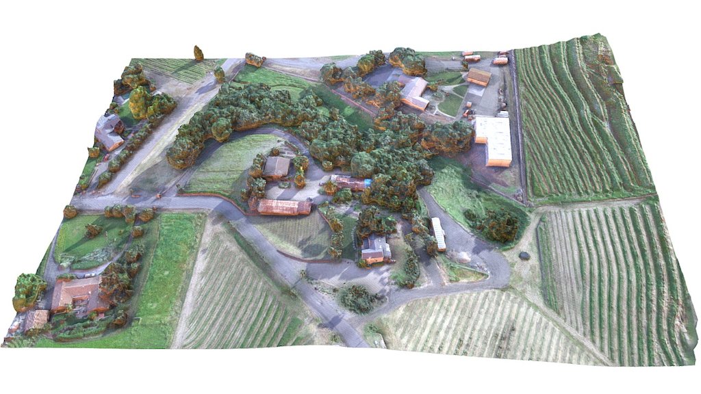Vineyard - 3D model by El7ias [53ea3c8] - Sketchfab