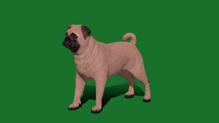 Grumble 3D models - Sketchfab