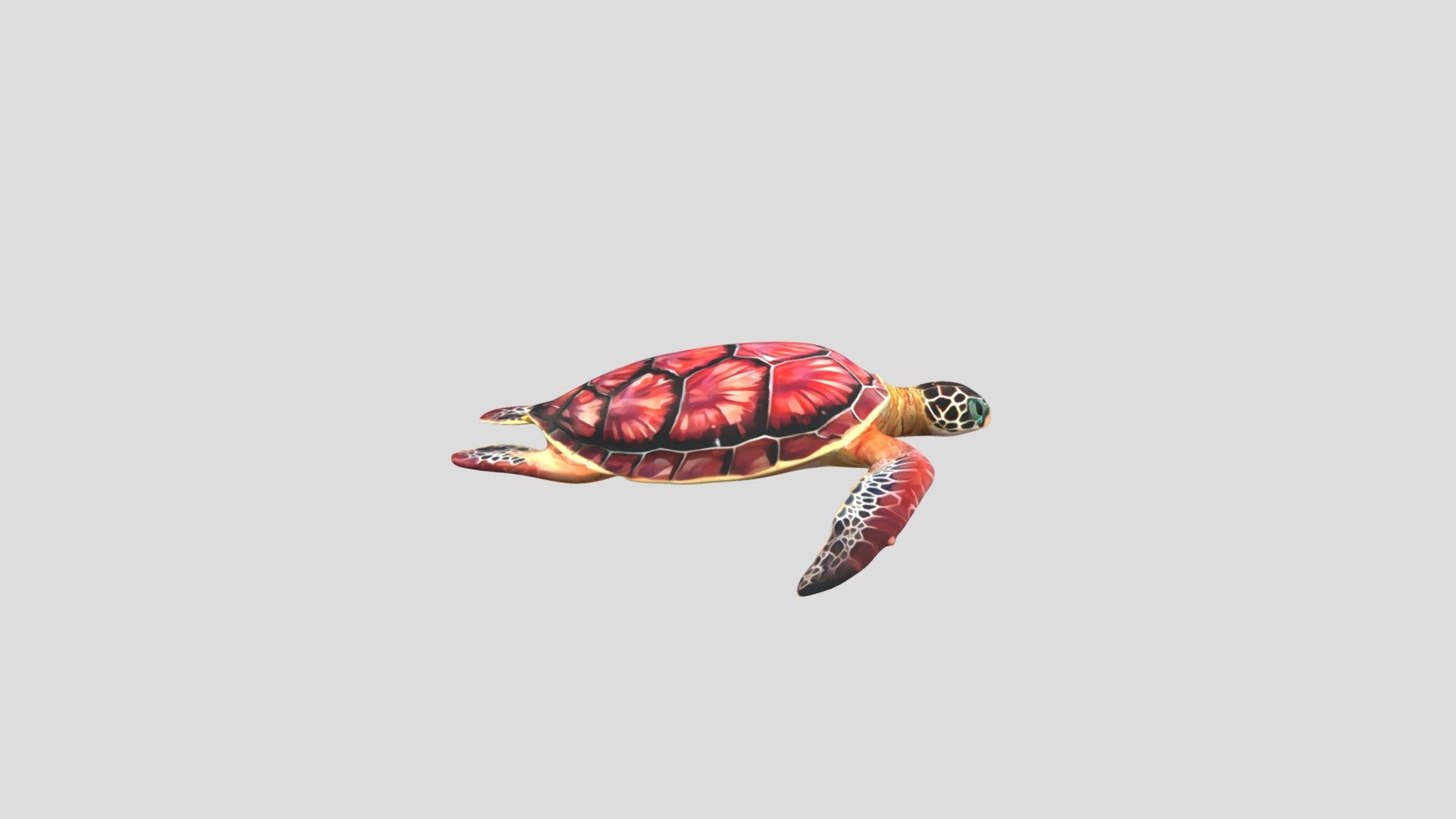 Sea Turtle - Download Free 3D model by wilsen_xu97 [53ebdb9] - Sketchfab