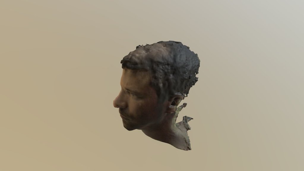Dan self scan by hand 1 skan - Download Free 3D model by dwsd [53edeed ...