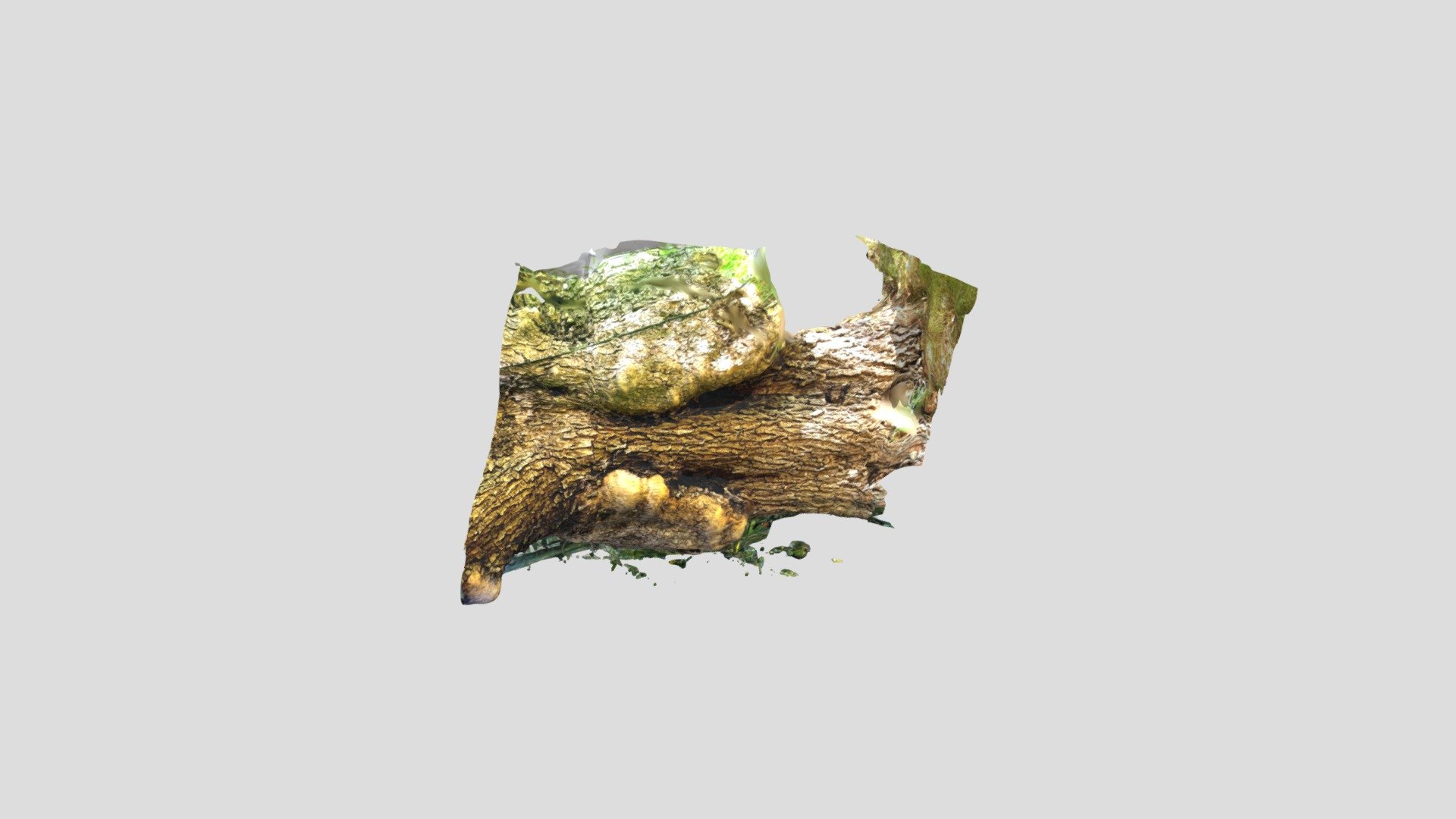 Magic Tree - Download Free 3D model by sevipente [53ef41c] - Sketchfab