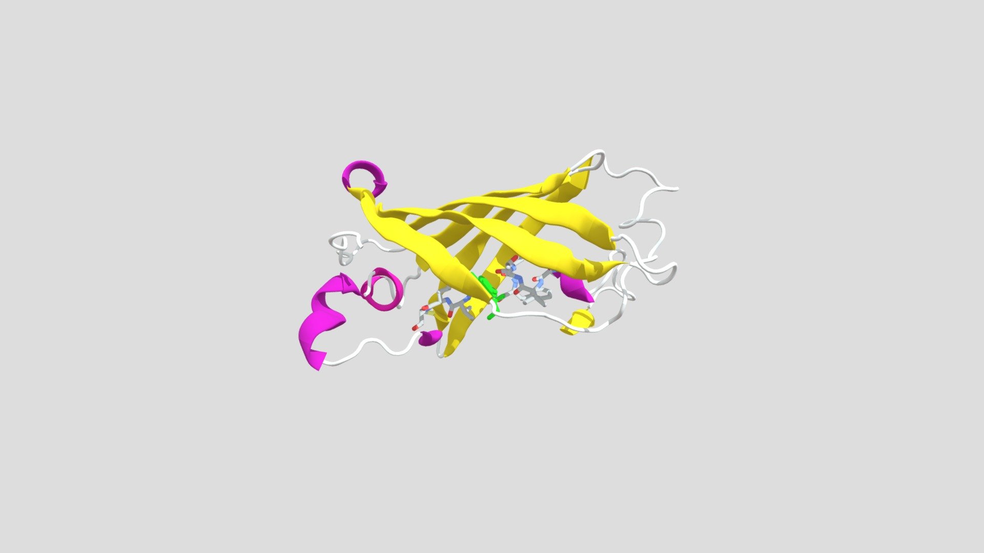 GFP Cut Away - Download Free 3D model by nyithive [53f9040] - Sketchfab
